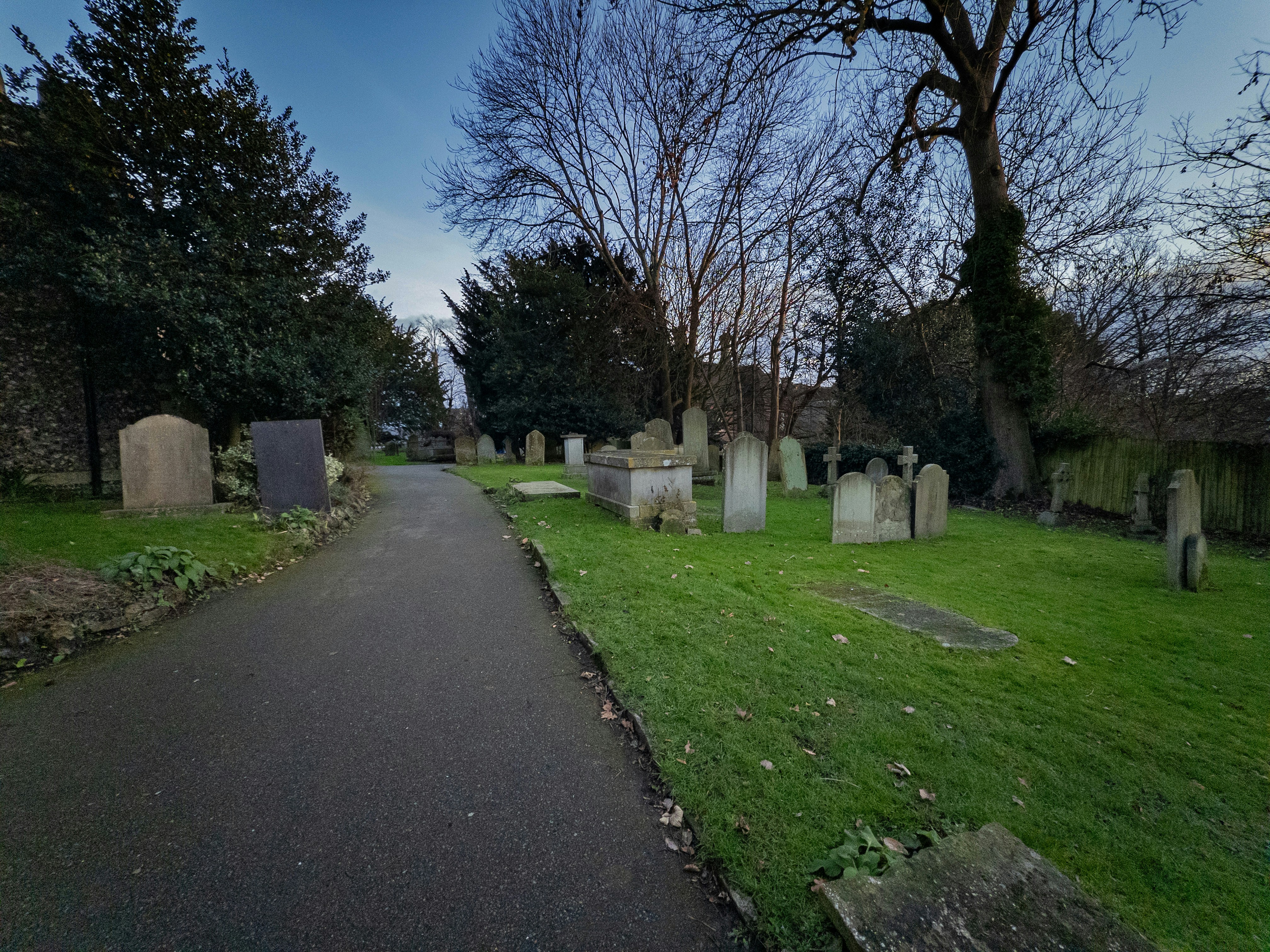 Silent Avenue Through a Graveyard Path