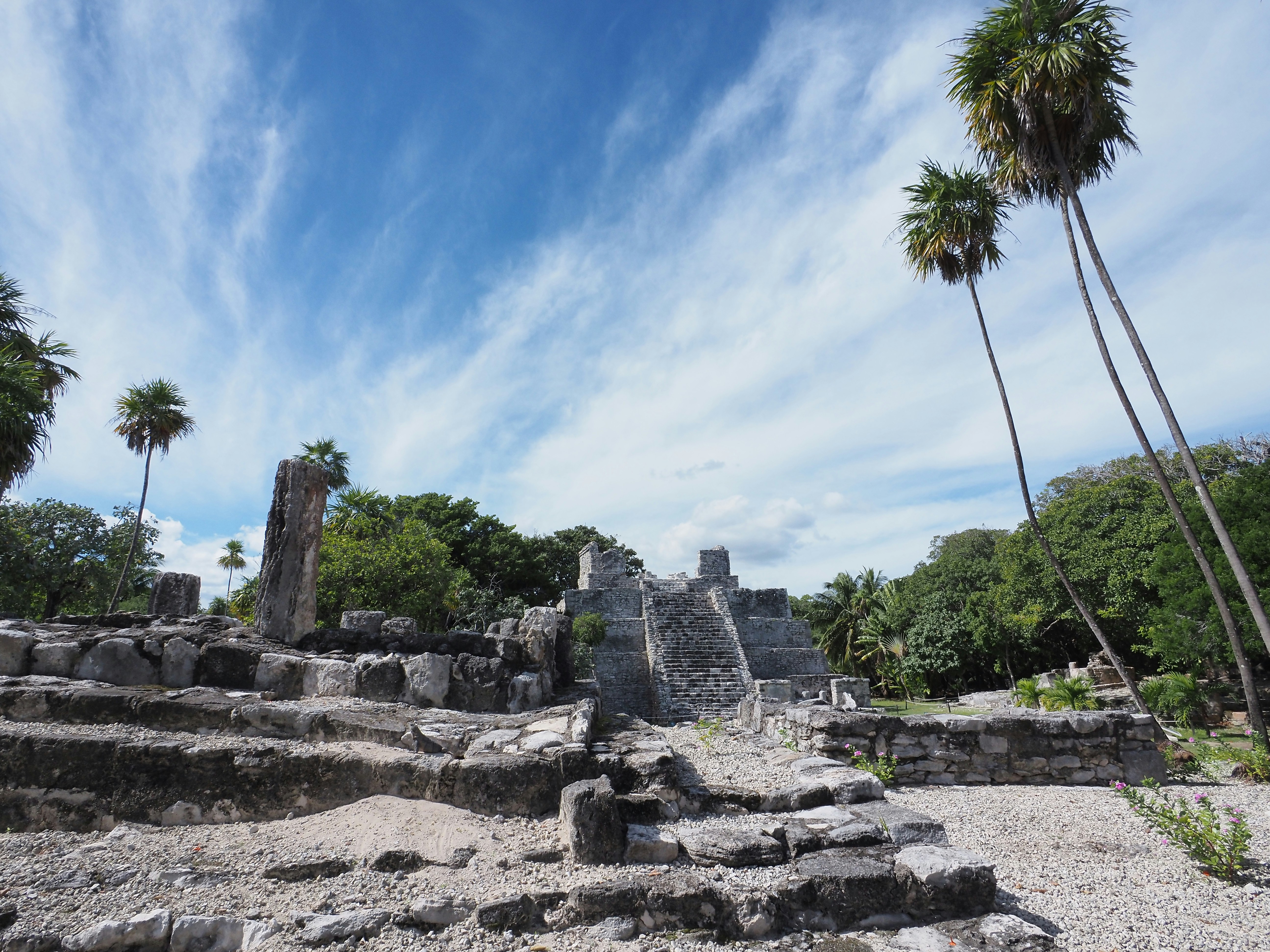 Stone Steps to Sunrise: An Ancient Mayan-Ruin Terrace Amid Palm Trees