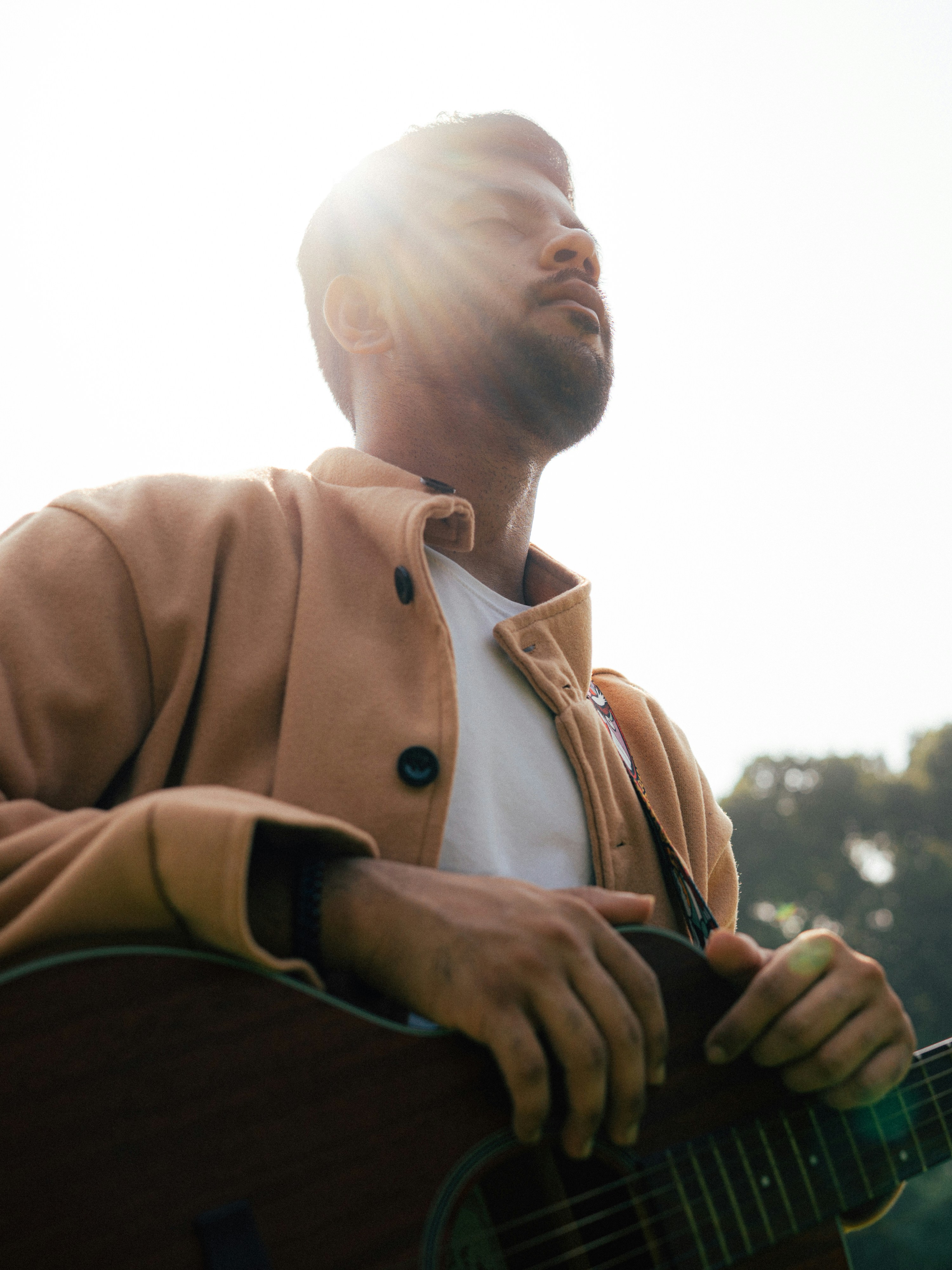 Sunlit Strings: A Portrait in Gentle Backlight