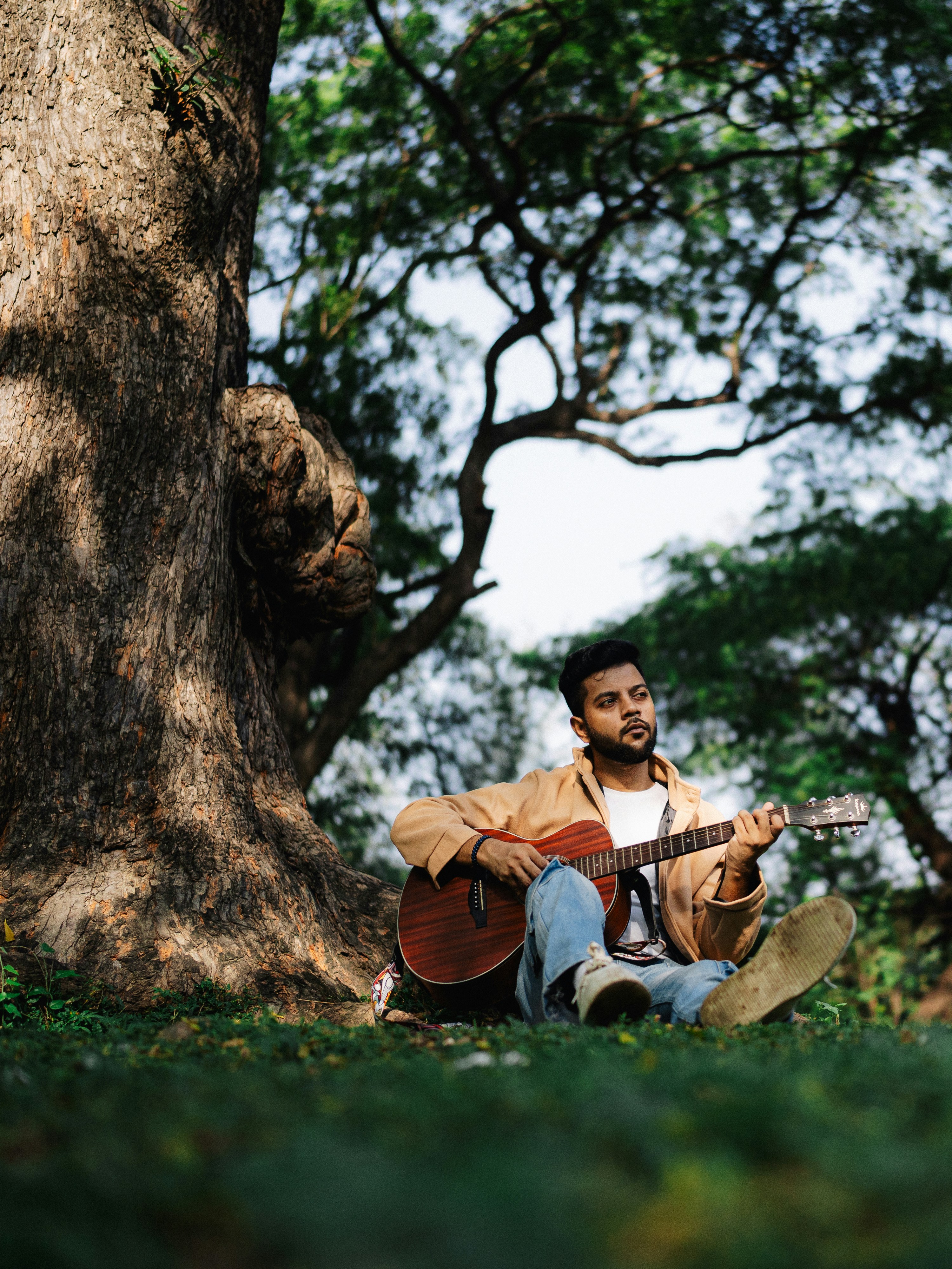 Guitar Under a Giant Banyan: A Quiet Tune in the Park