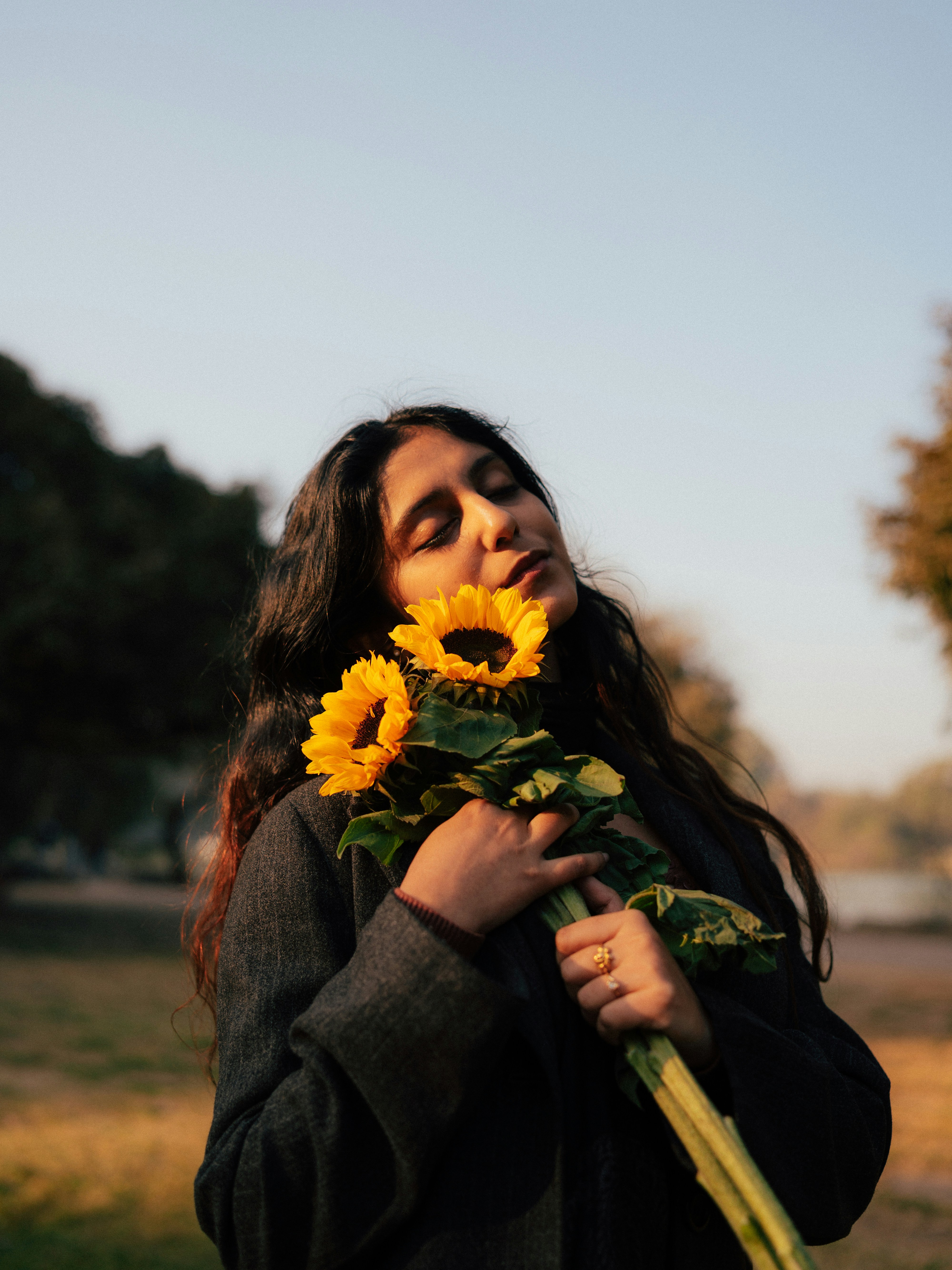 Sunlit Sunflowers, Somber Silhouette