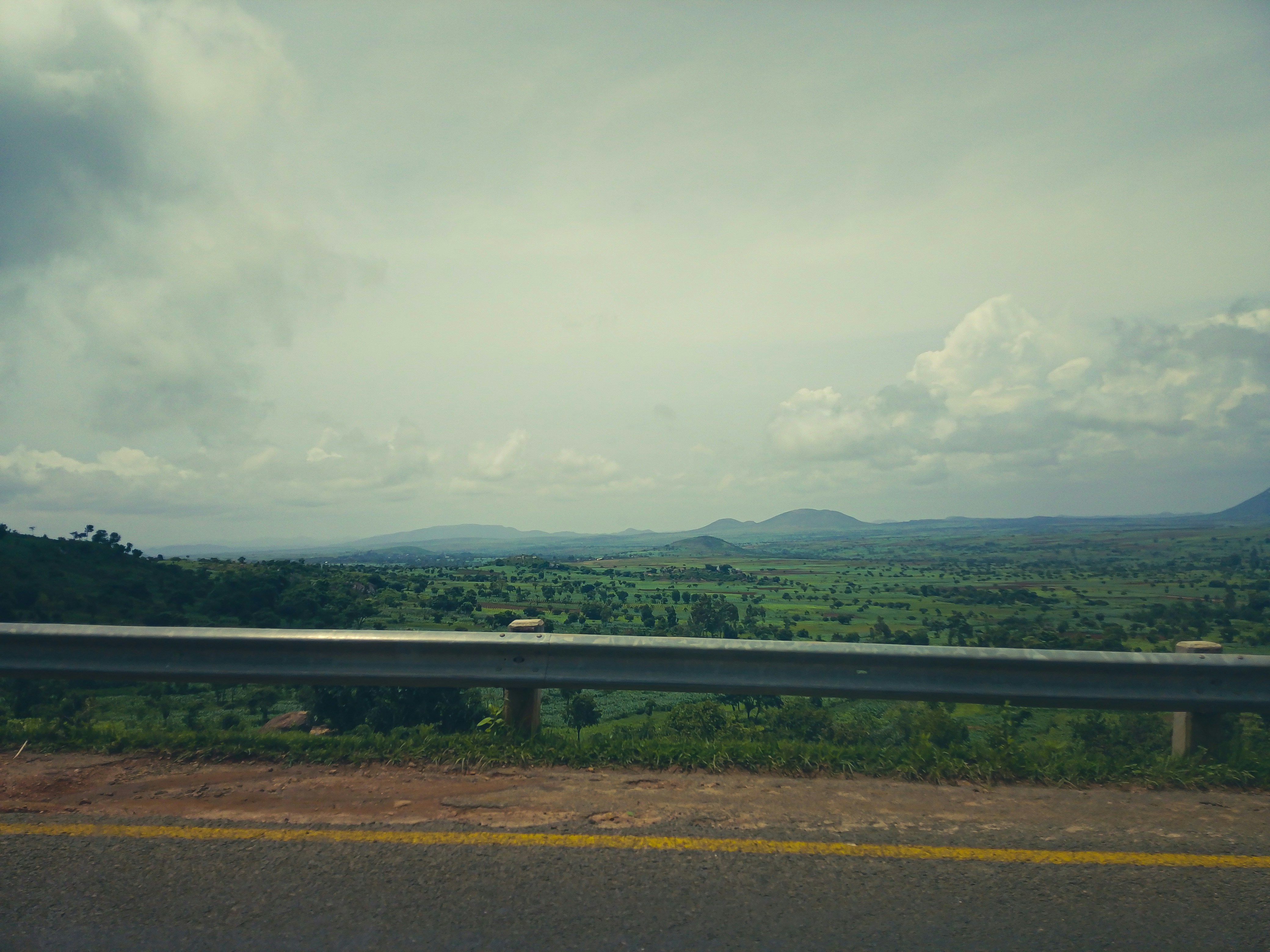 Zevia 303 (@zevia303) | Unsplash Photo Community