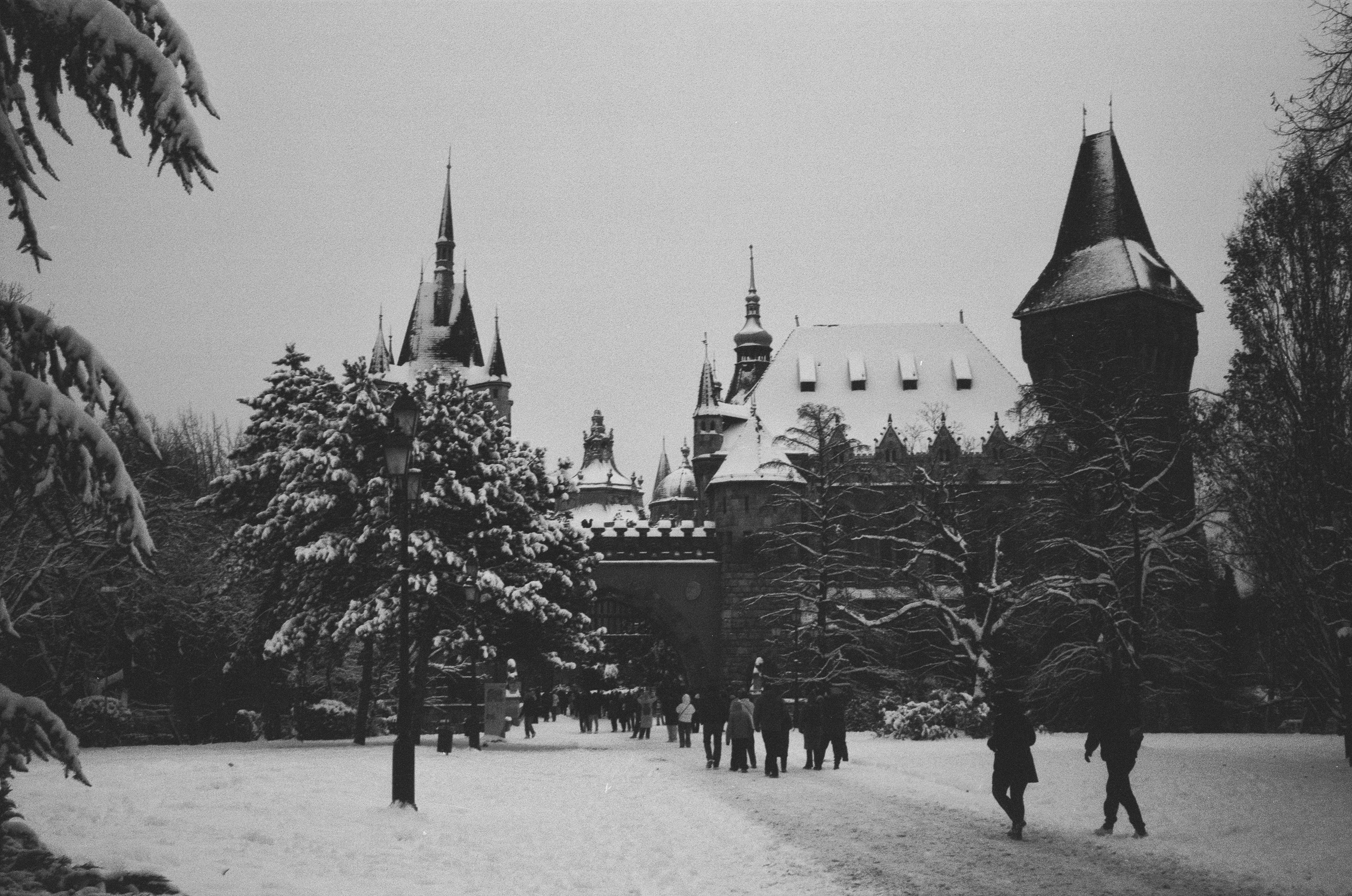 Snow-covered trees and a castle on a winter day photo – Free ...