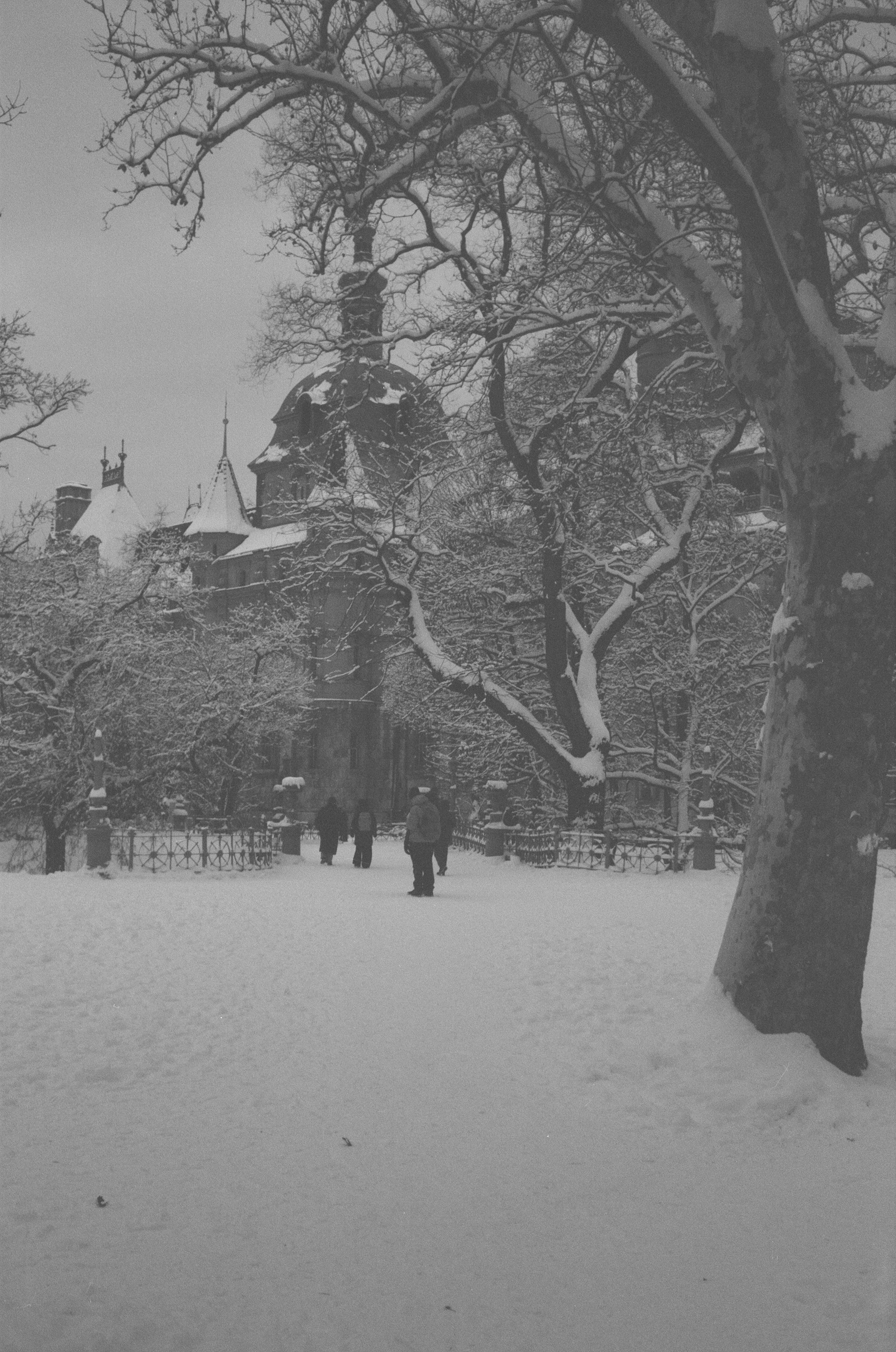 Wintertime in Budapest shot on FOMAPAN 100