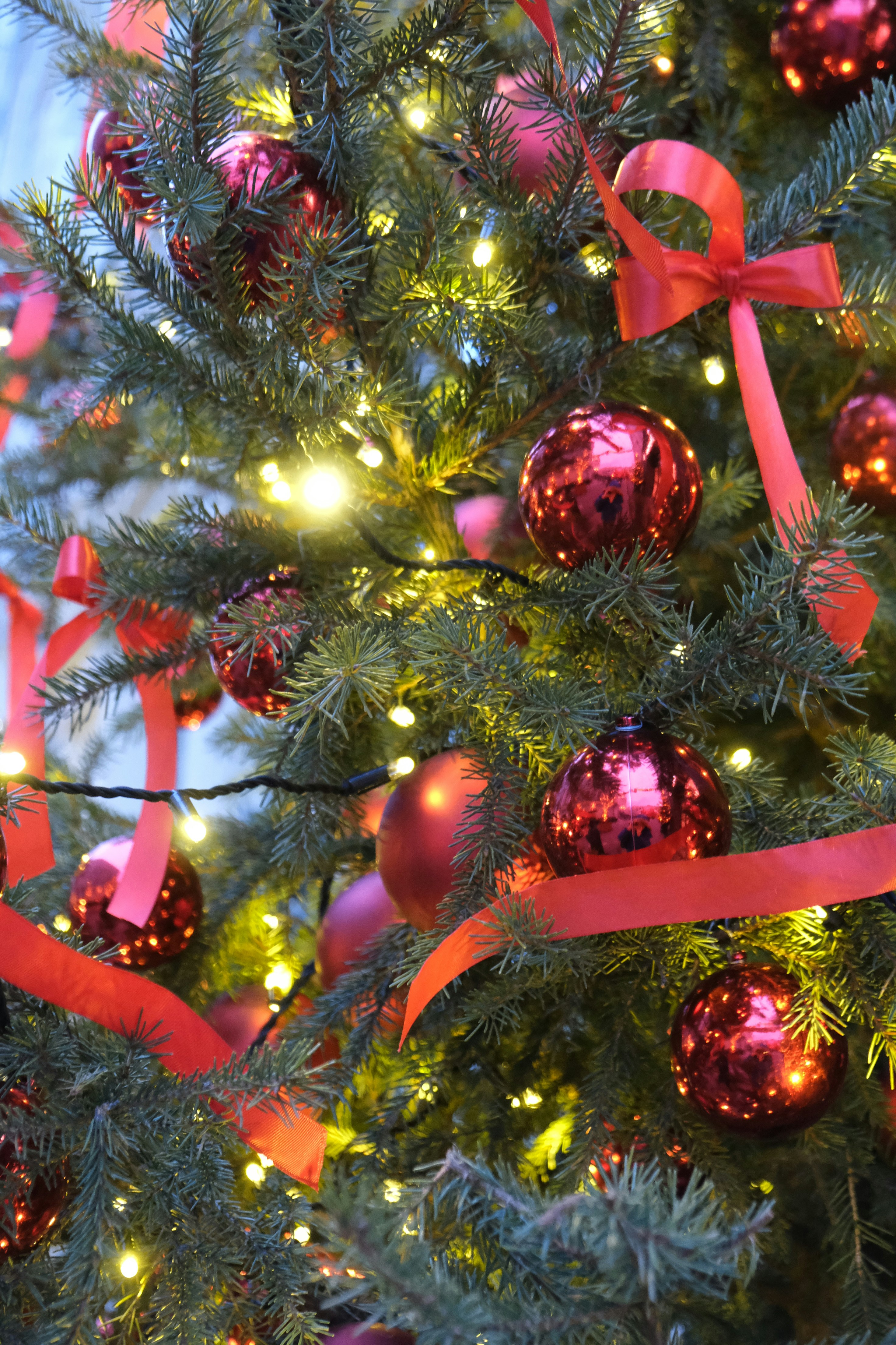 Glowing Orbs and Ribbon Echoes on a Festive Christmas Tree
