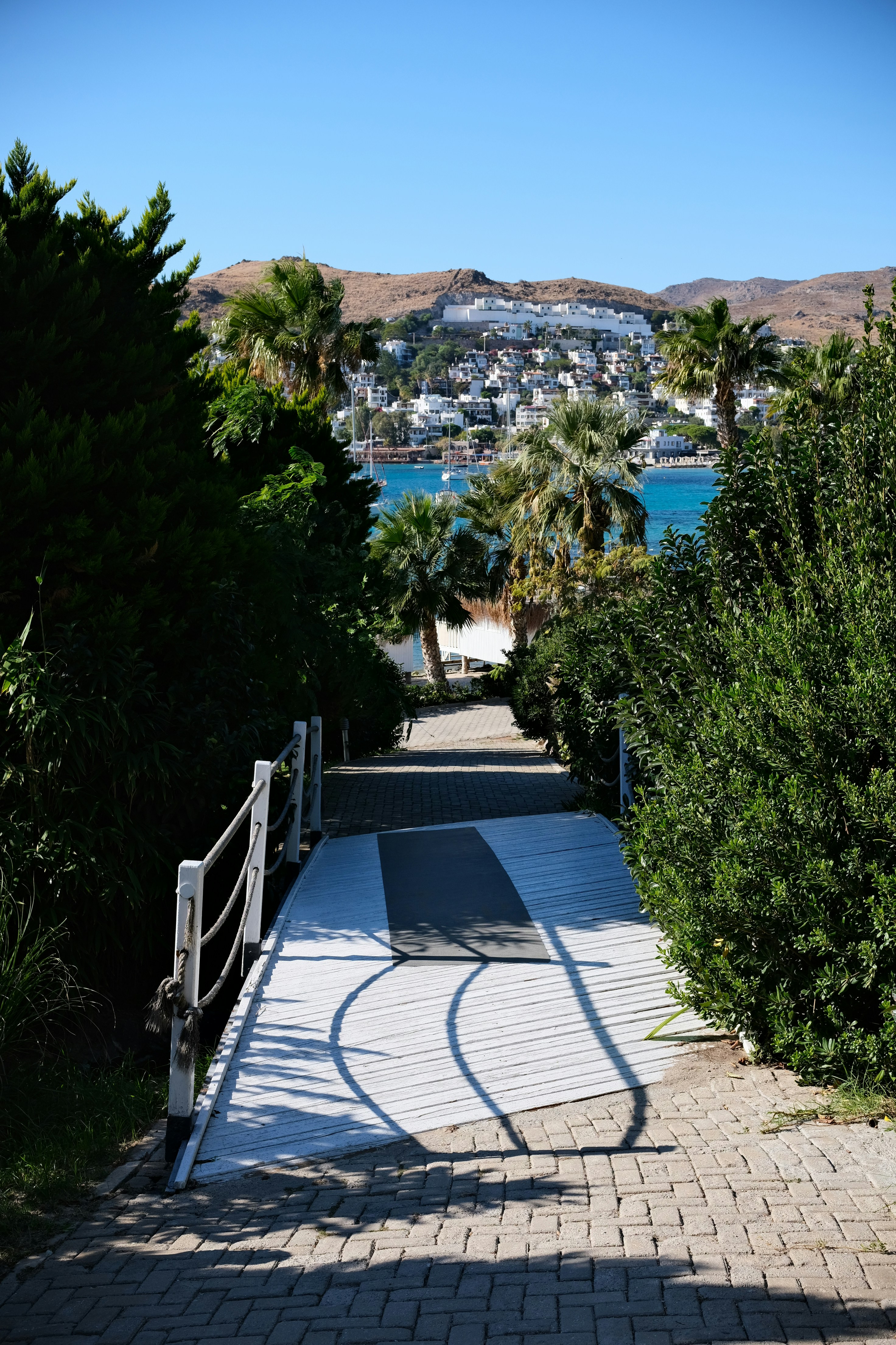 Coastal Path to a Palm‑fringed Bay