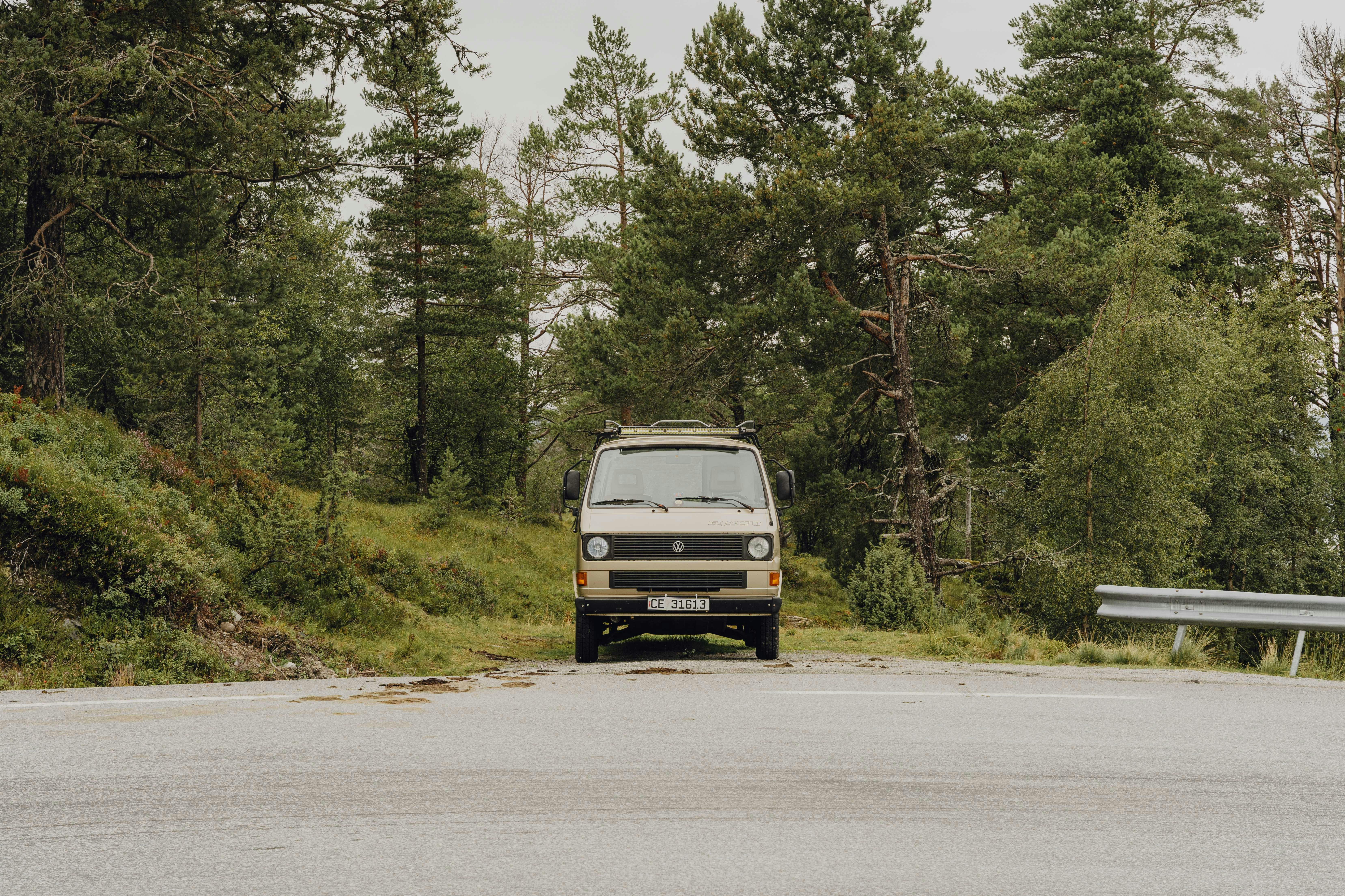 Forest Road Sentinel: A Weathered Van Guards the Pine Path