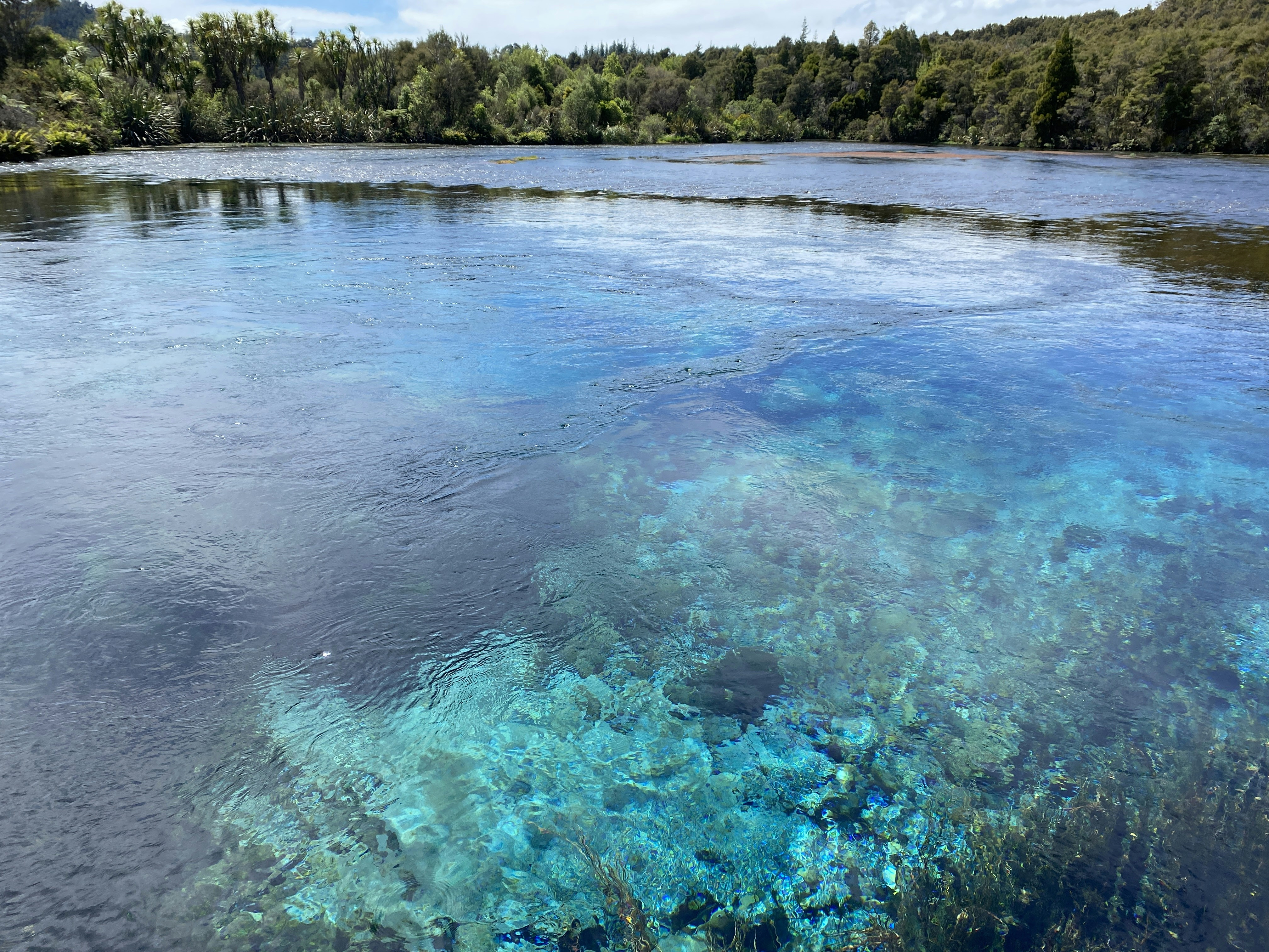 Siau-Jiun Lim (@siaujiunlim) | Comunidade de fotos da Unsplash