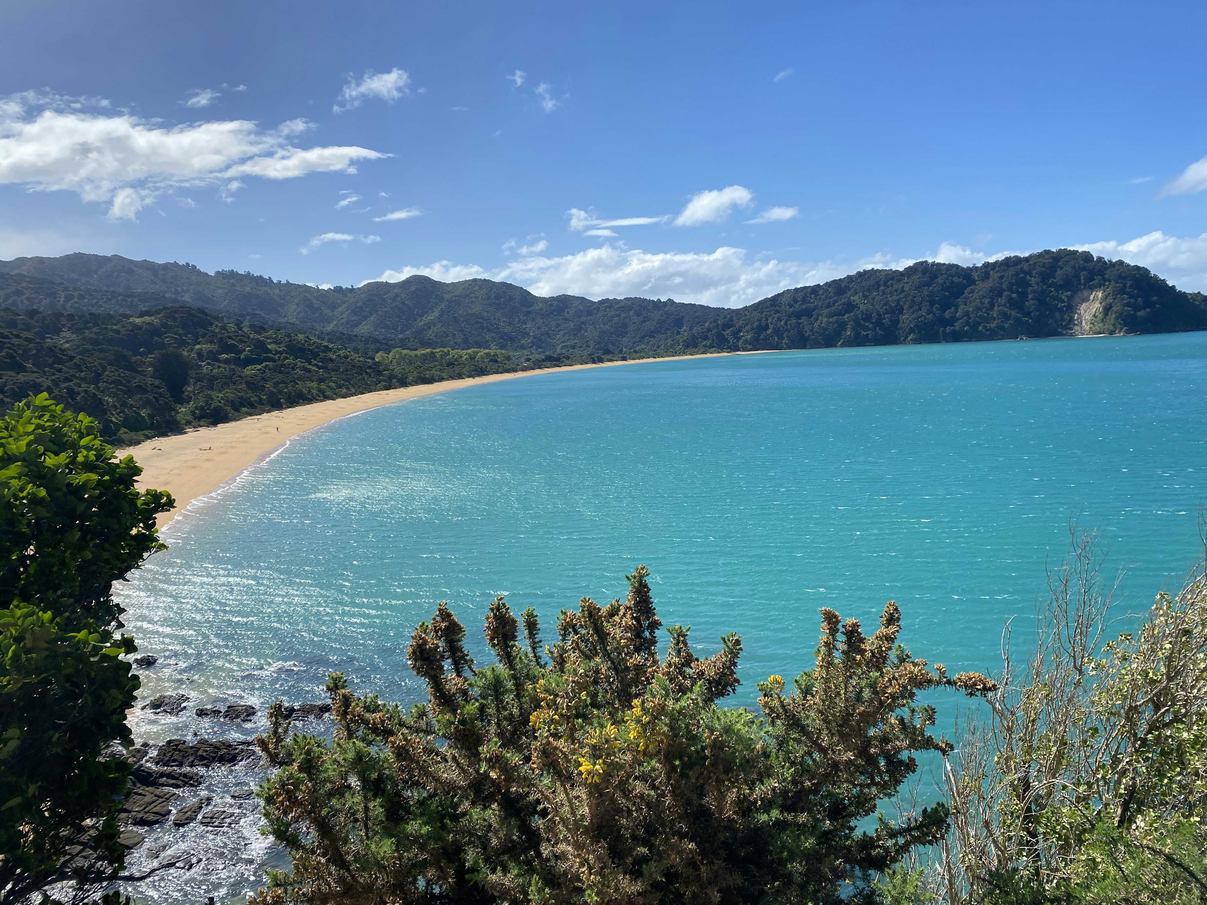 Siau-Jiun Lim (@siaujiunlim) | Comunidade de fotos da Unsplash