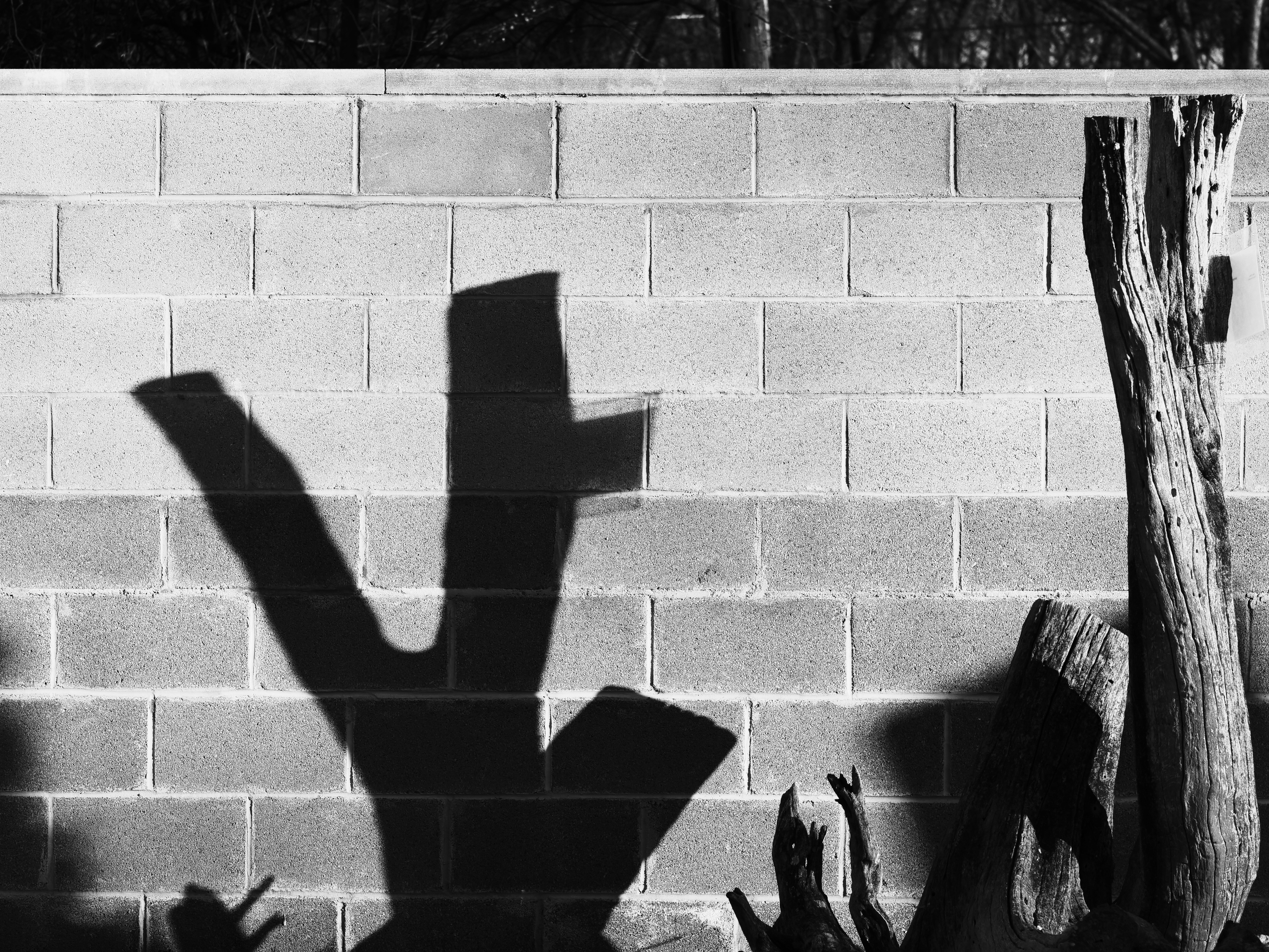 Shadows on Brick: A Bold Shadow Play Against a Quiet Wall