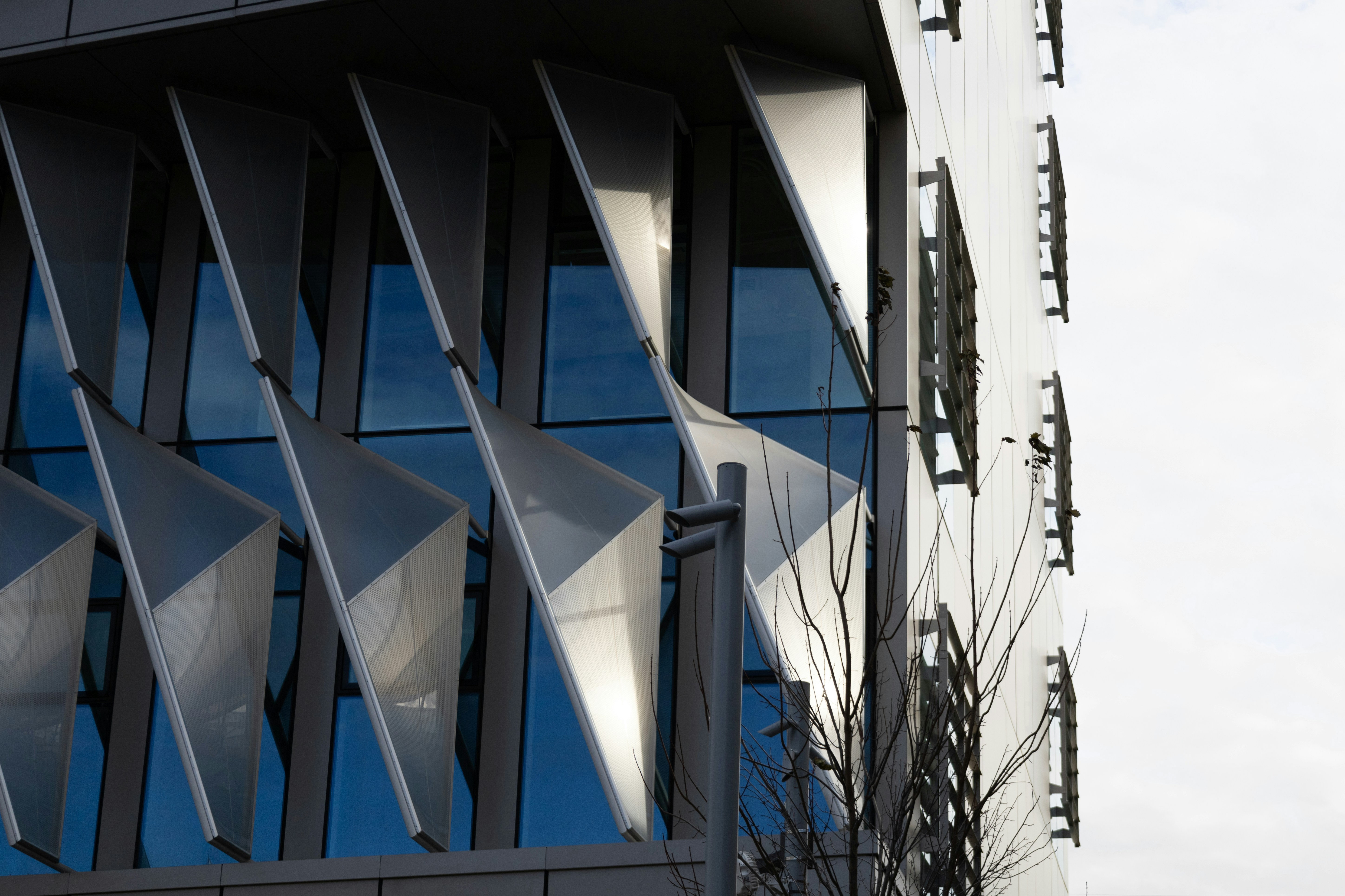 Chevron Facades: A Play of Light on Architectural Angles