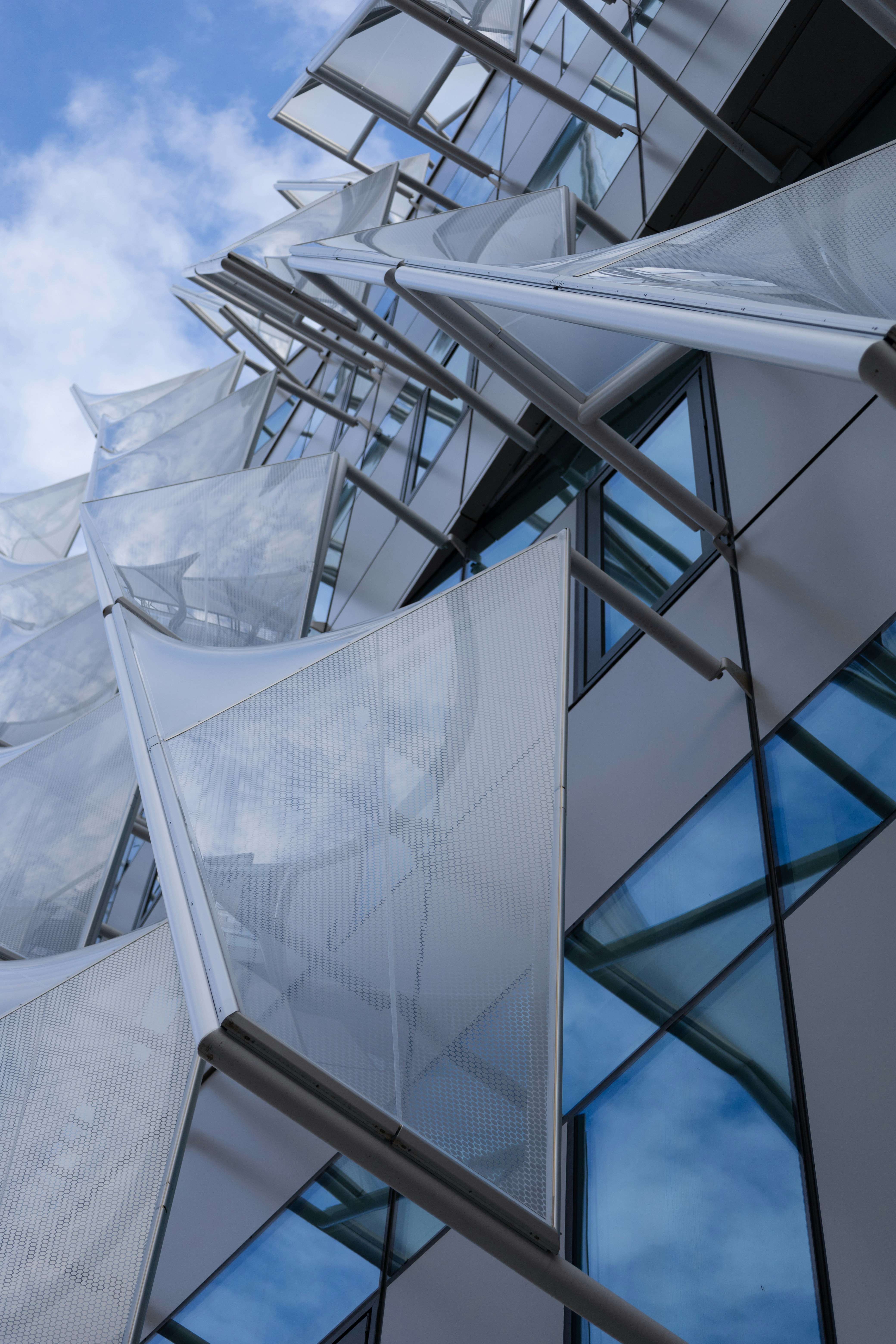 Mesh of Glass and Sky: Architectural Art in Metal and Mesh