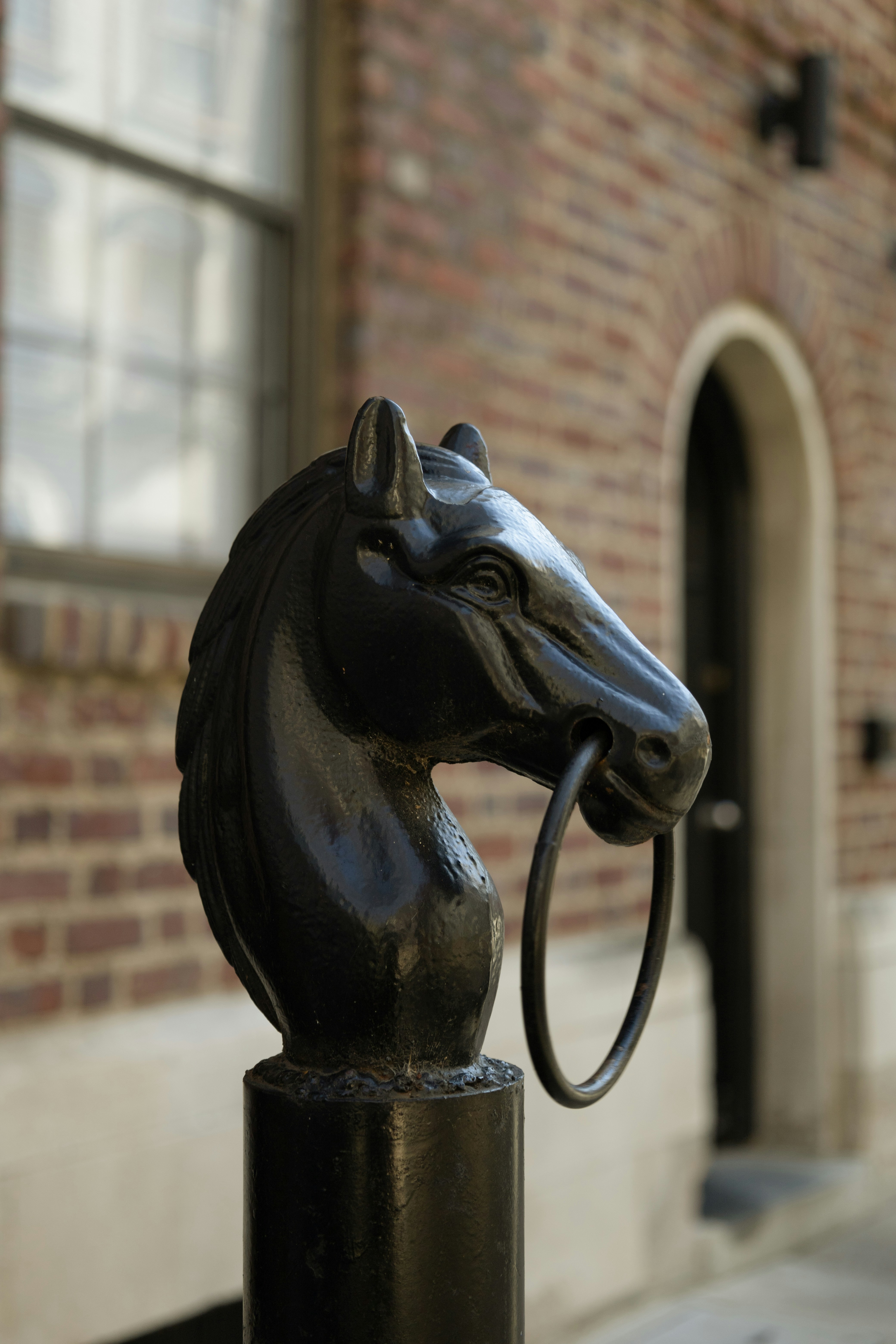 Equestrian Silhouette: A Black Knight of the Street