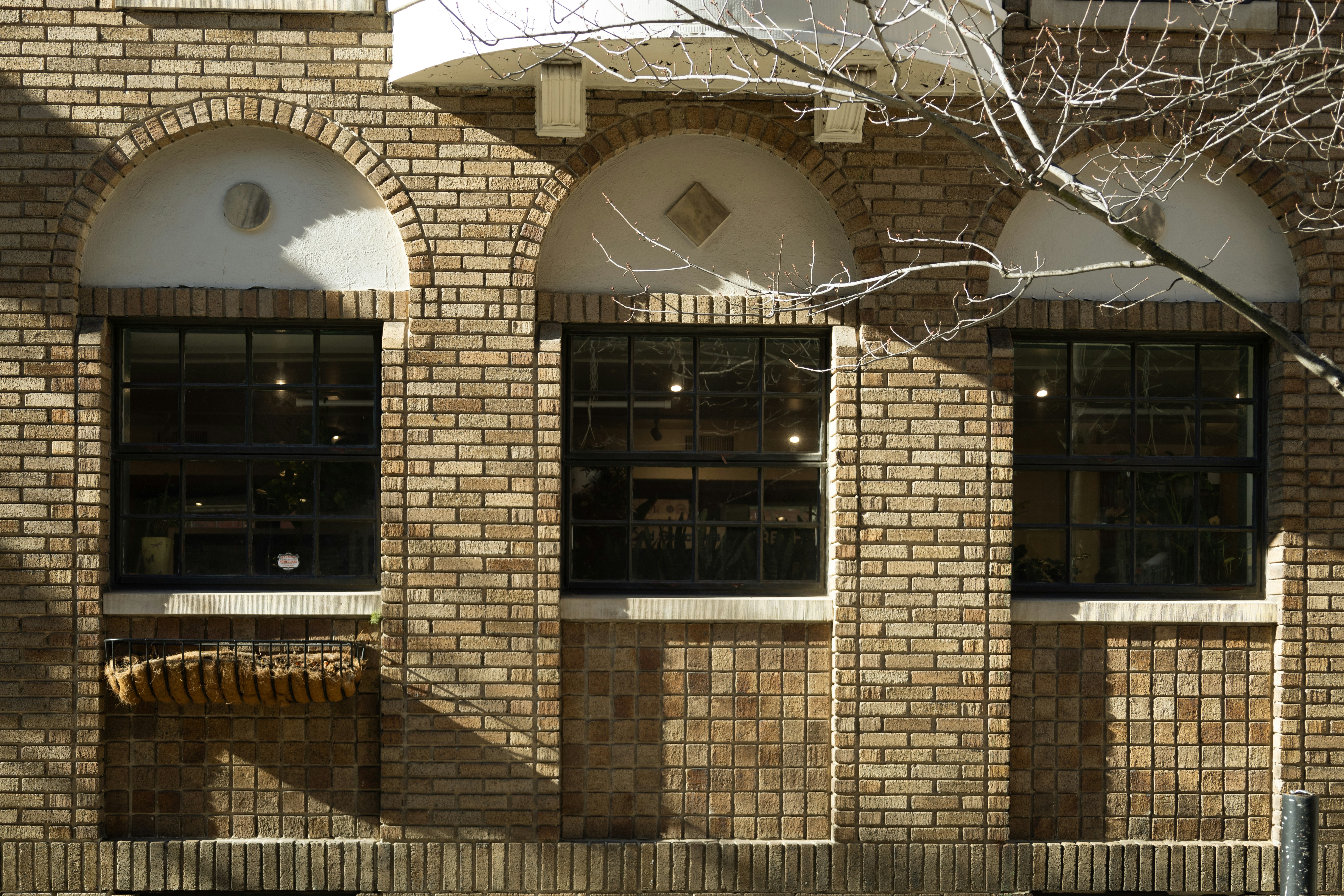 Arched brick façade with dark-windowed rows and a bare tree silhouette