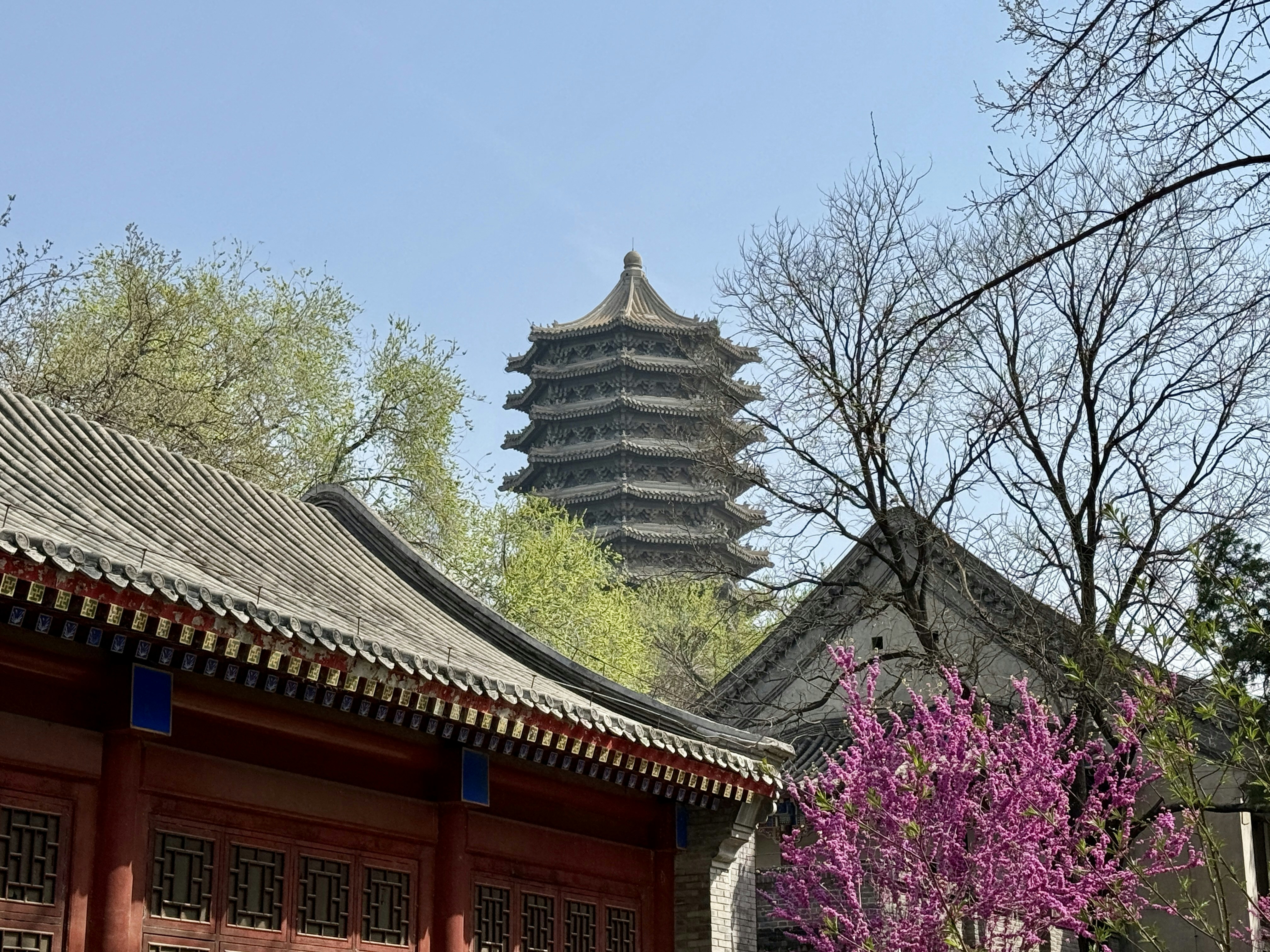 Pagoda Over the Courtyard: A Window to Historical Echoes