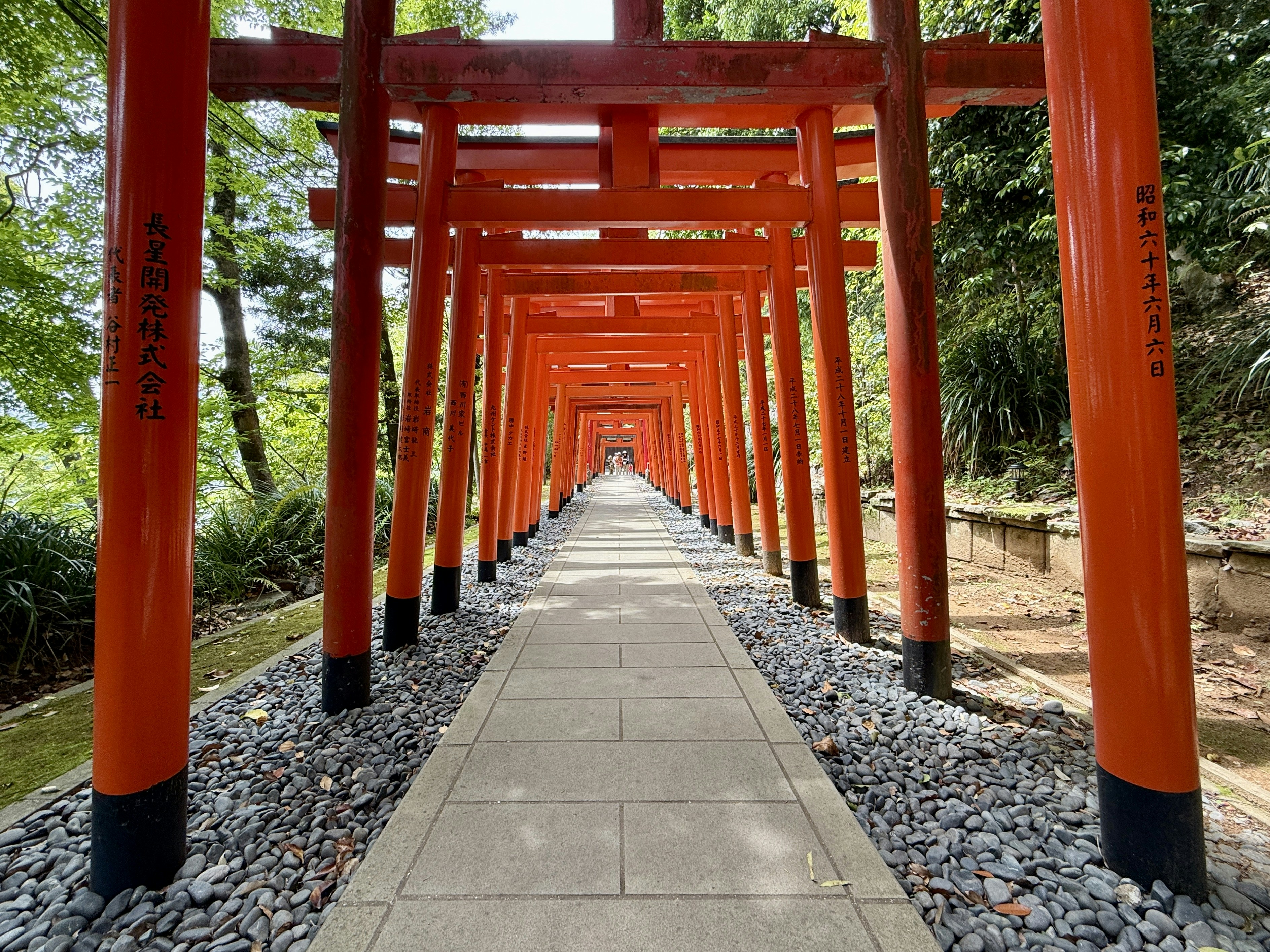 Red Gate Corridor: A Long Walk Through a Violet Cathedral