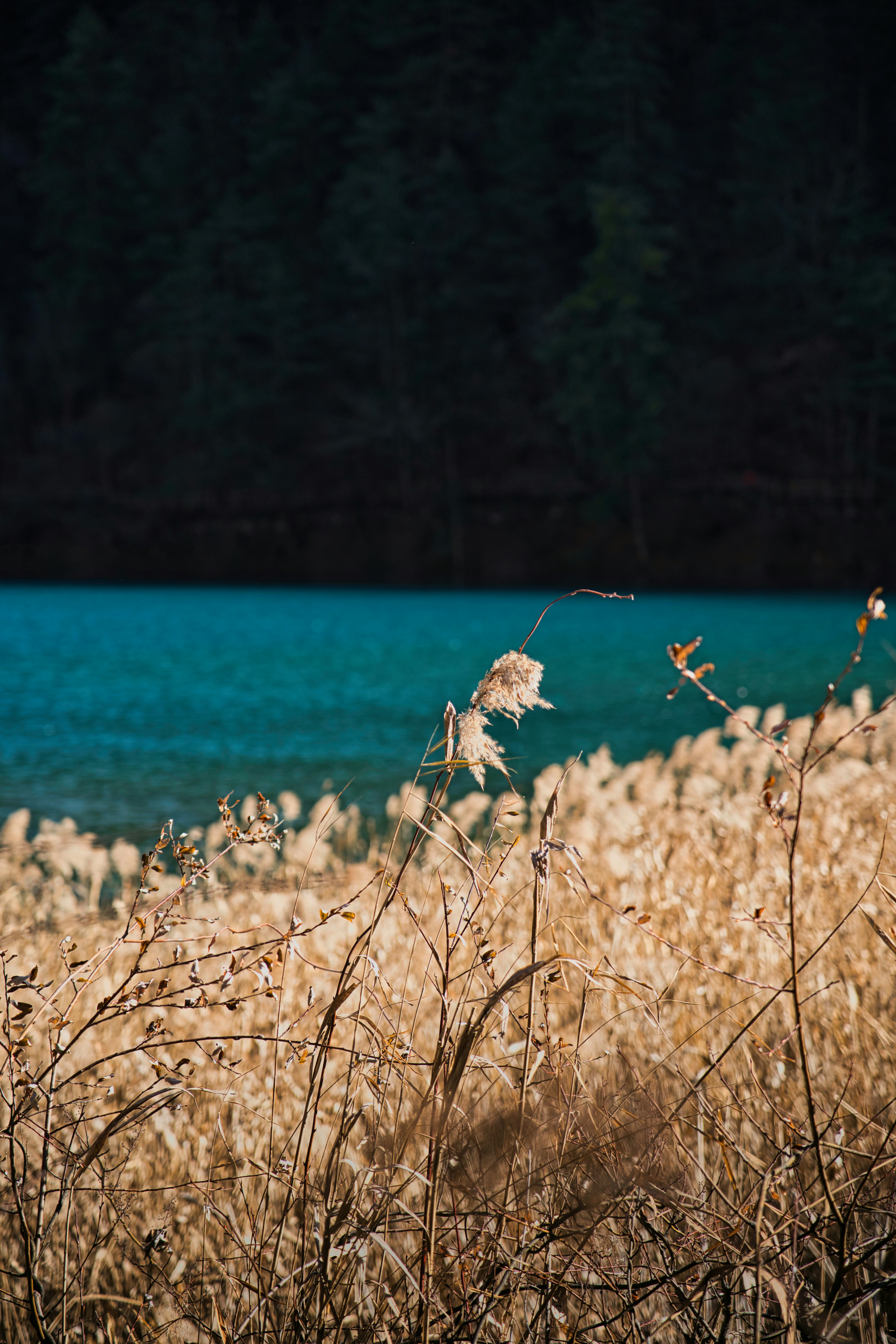 Russ Lee (@gen0451021) | Communauté photos Unsplash
