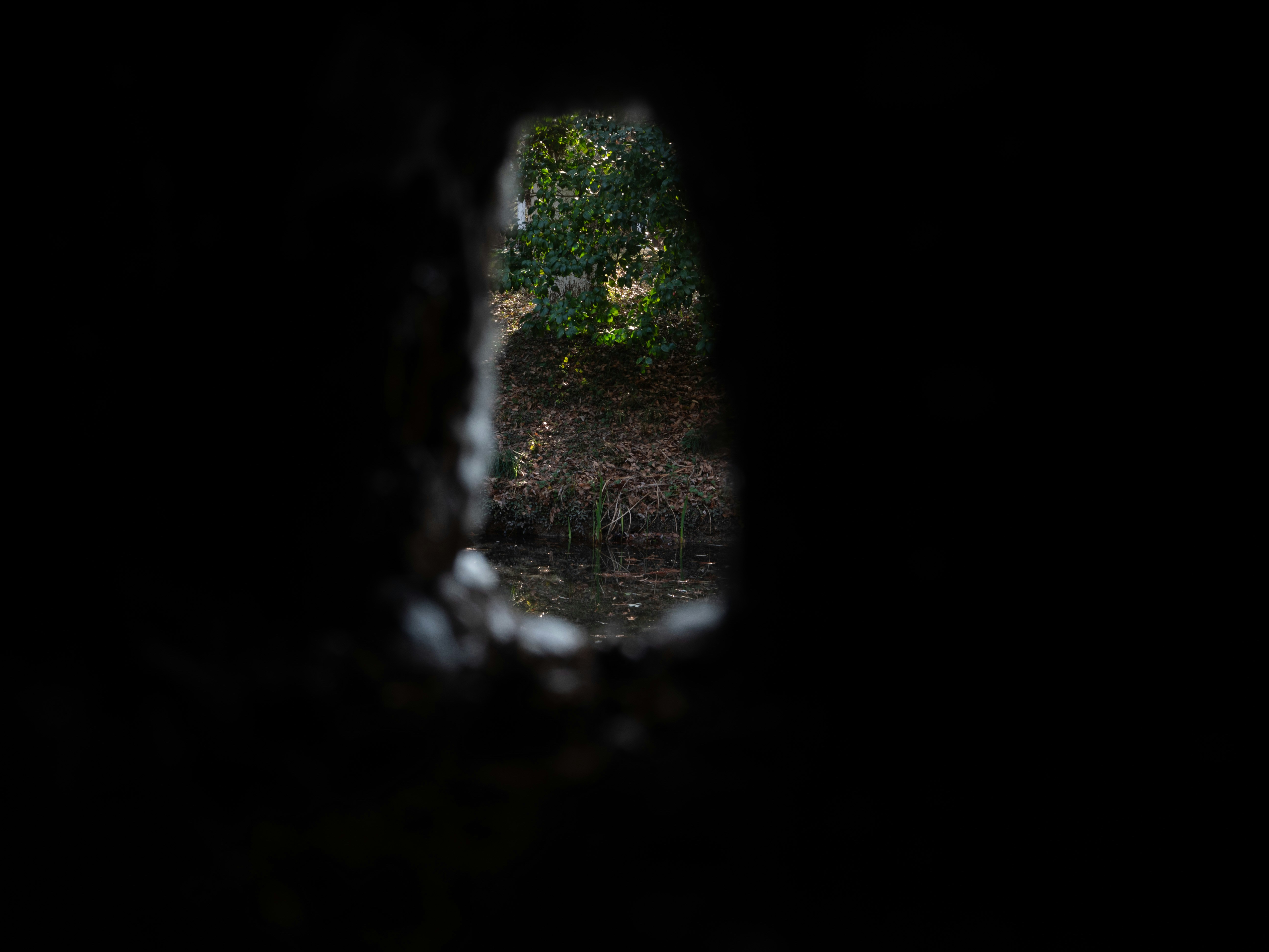 View of nature through a dark opening
