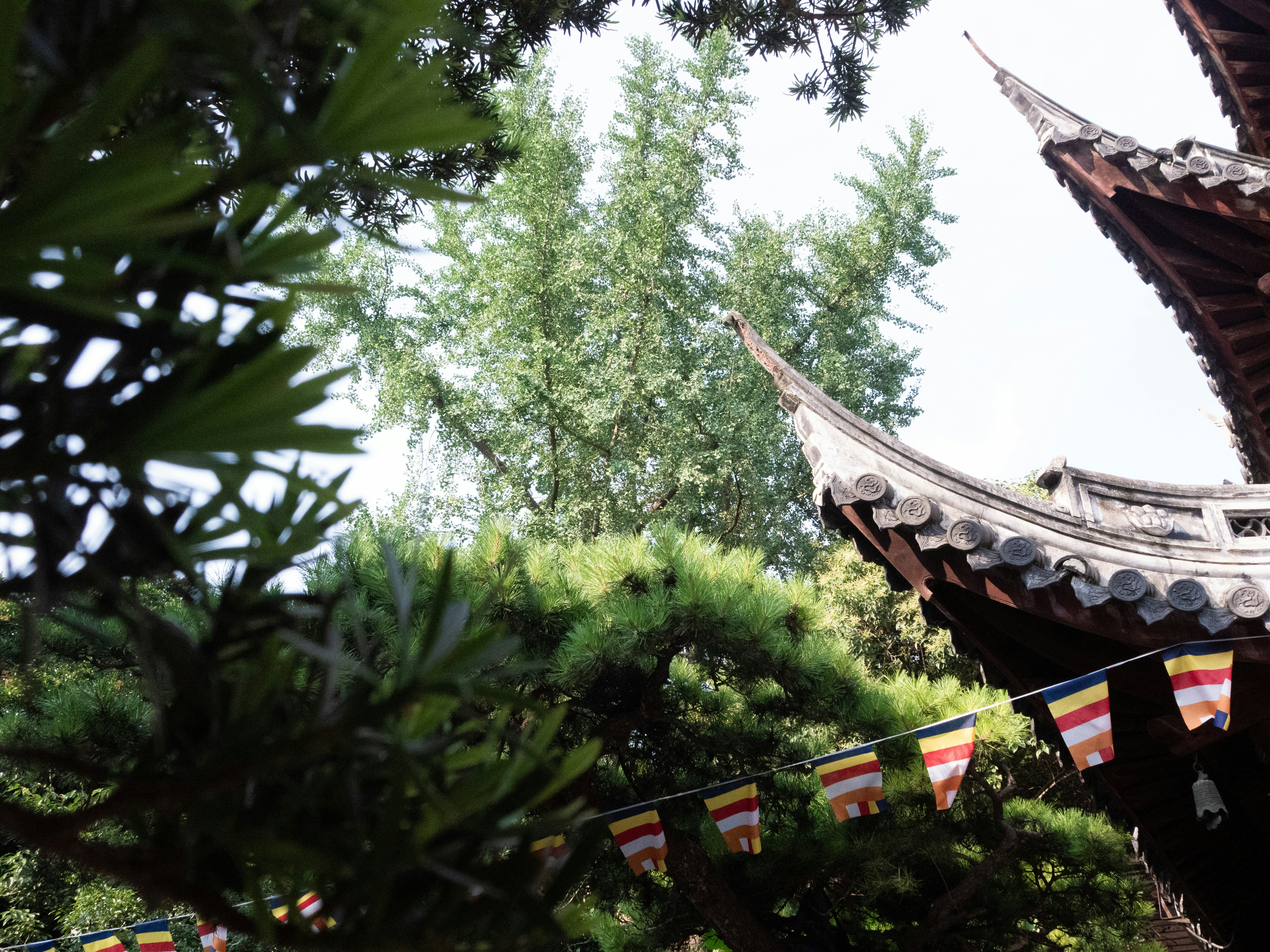 Temple Rooflines and Lantern Flags Framing a Garden Courtyard