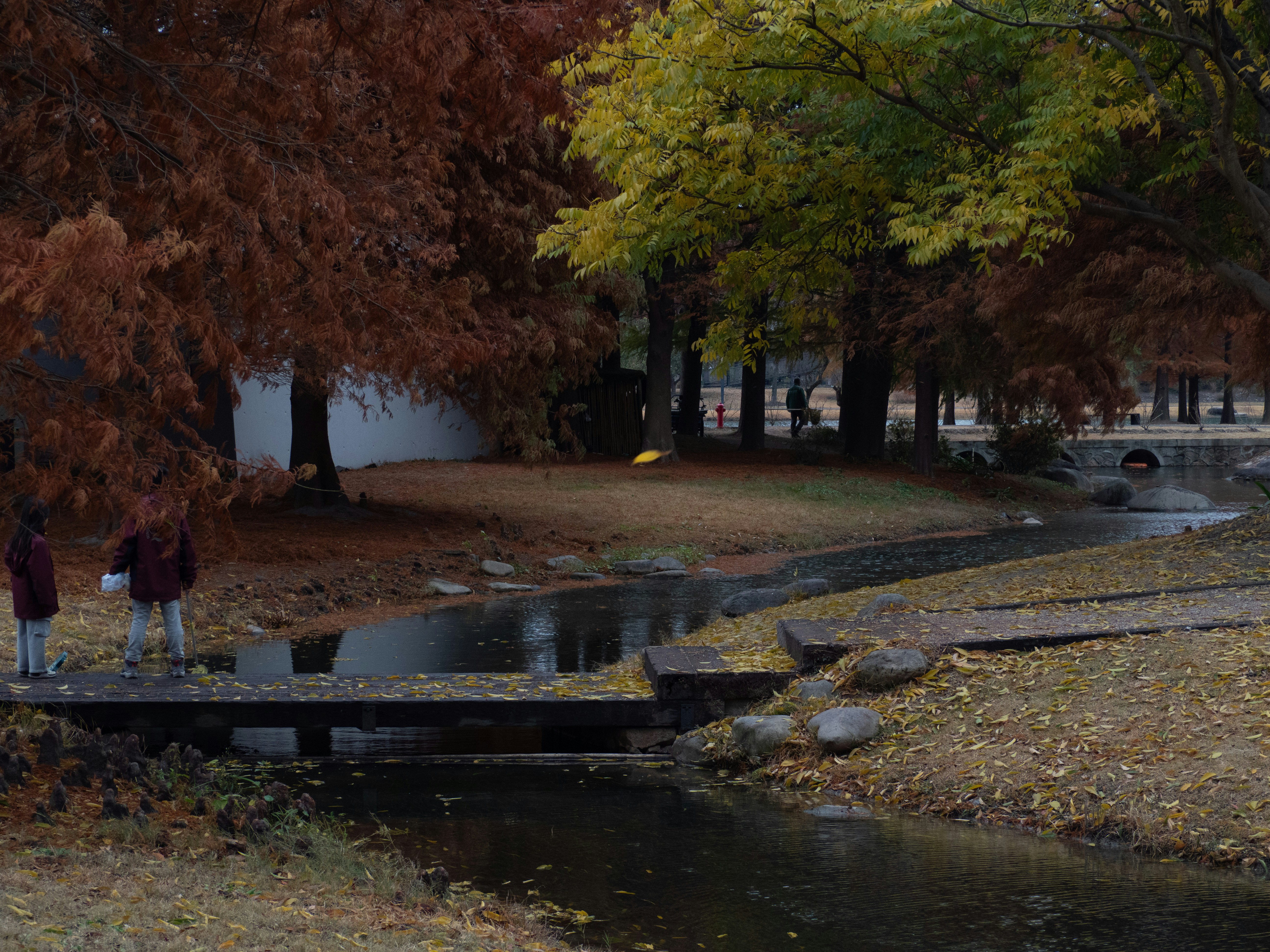 Autumn Riverside Crossing under a Canopy of Color