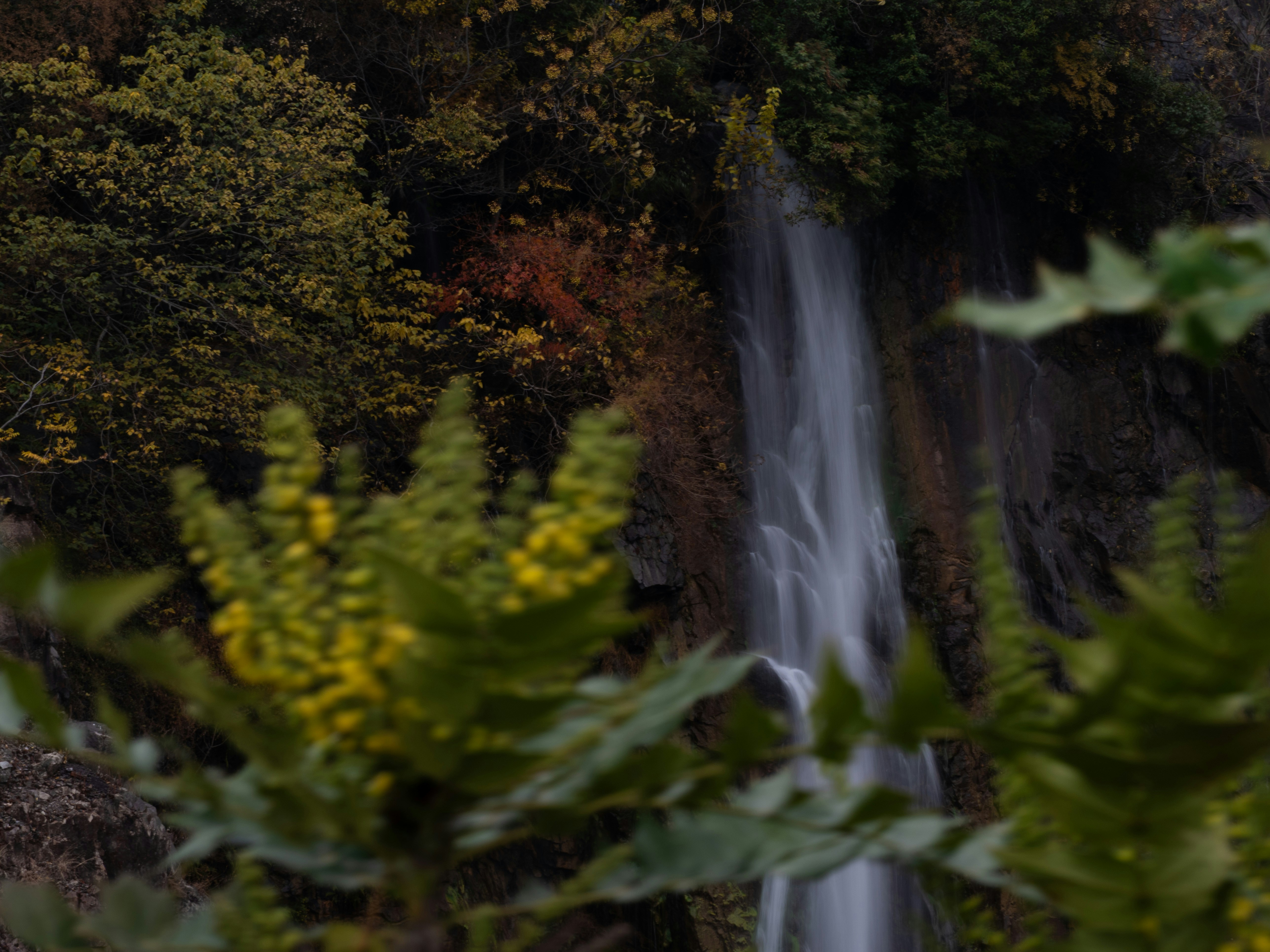 A waterfall cascades down a rocky cliff face.
