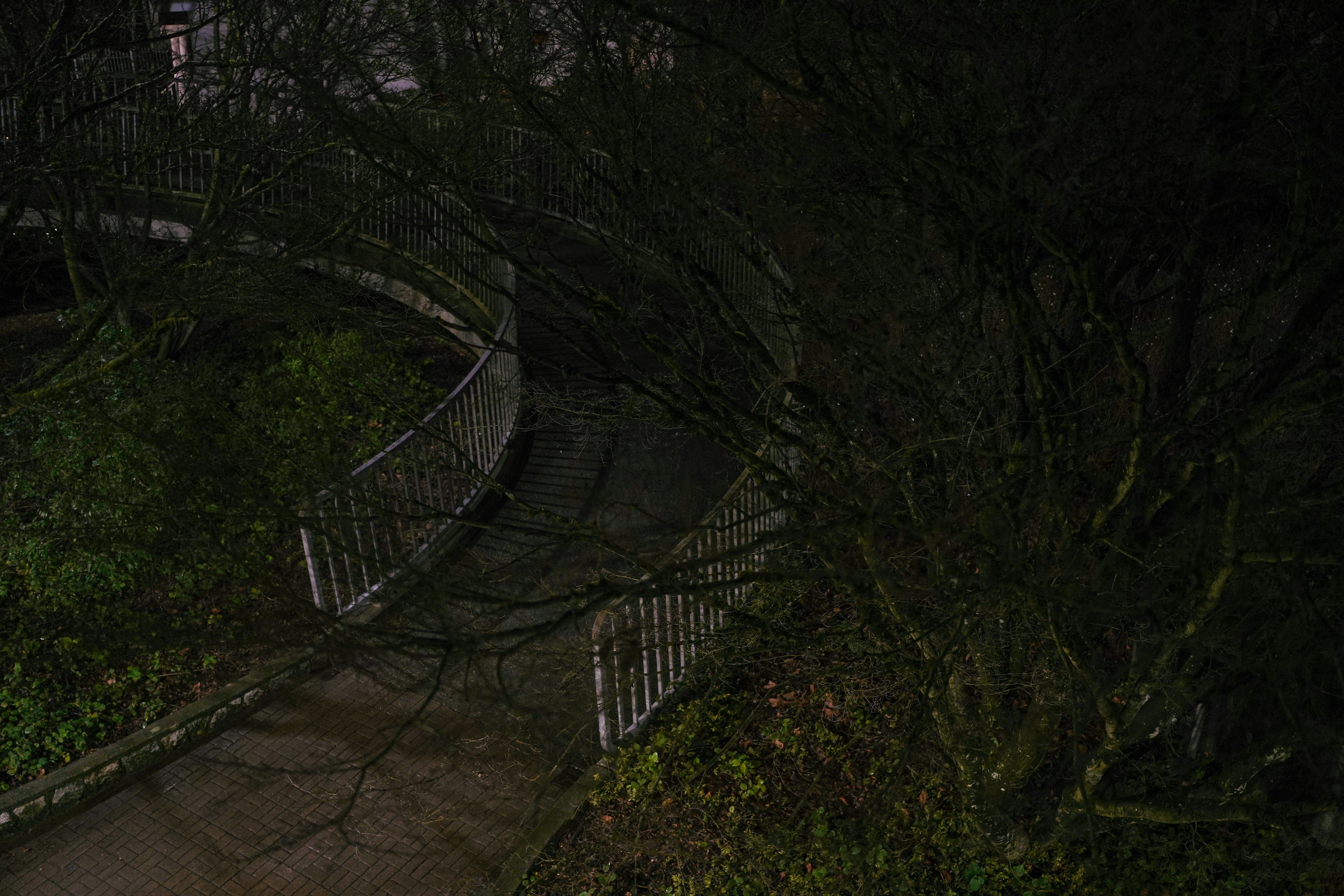 Moonlit Terrace: A Quiet Walk Through Dim Steps