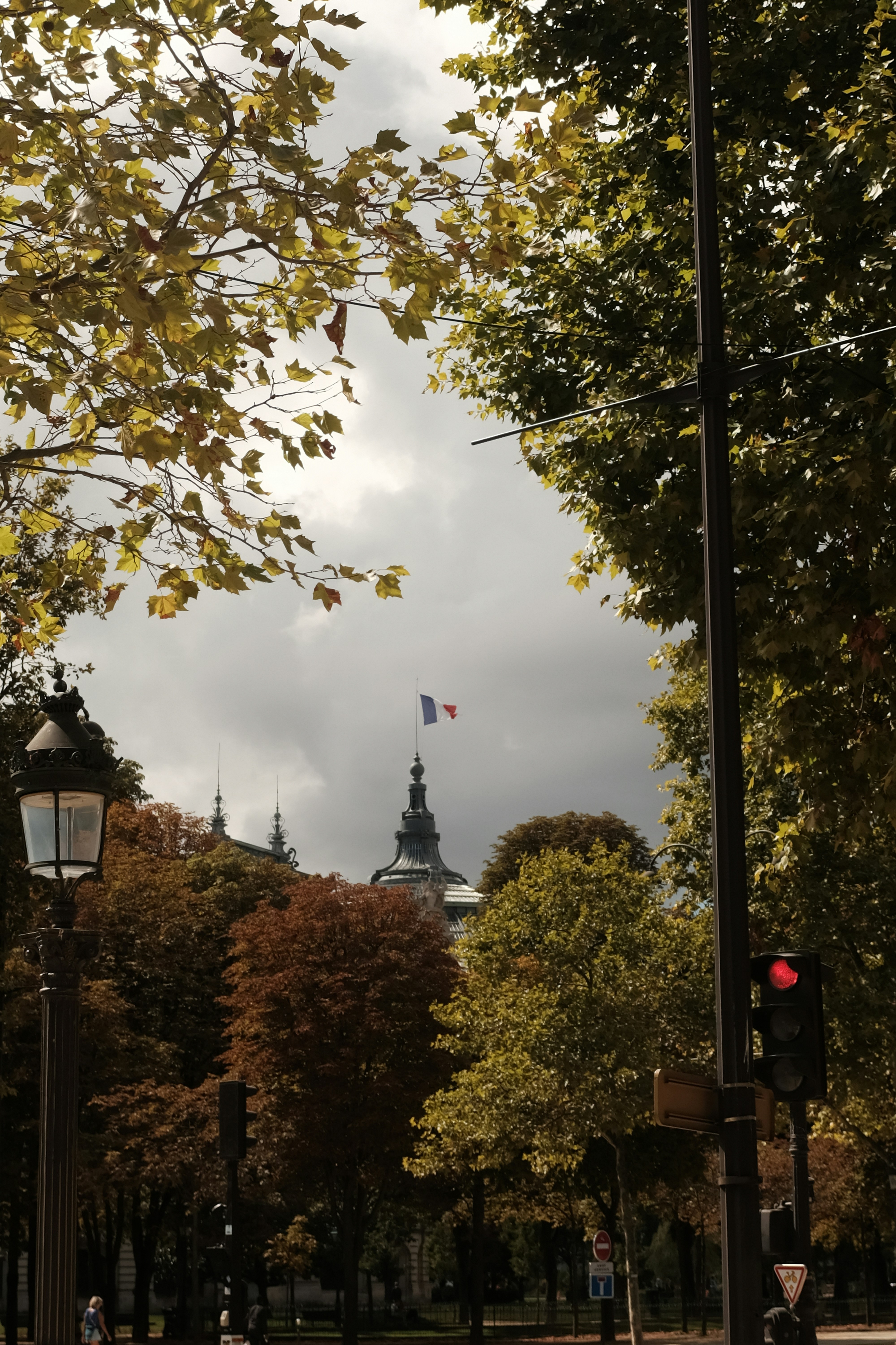 Autumn Boulevard: A Parisian Crown Overcast