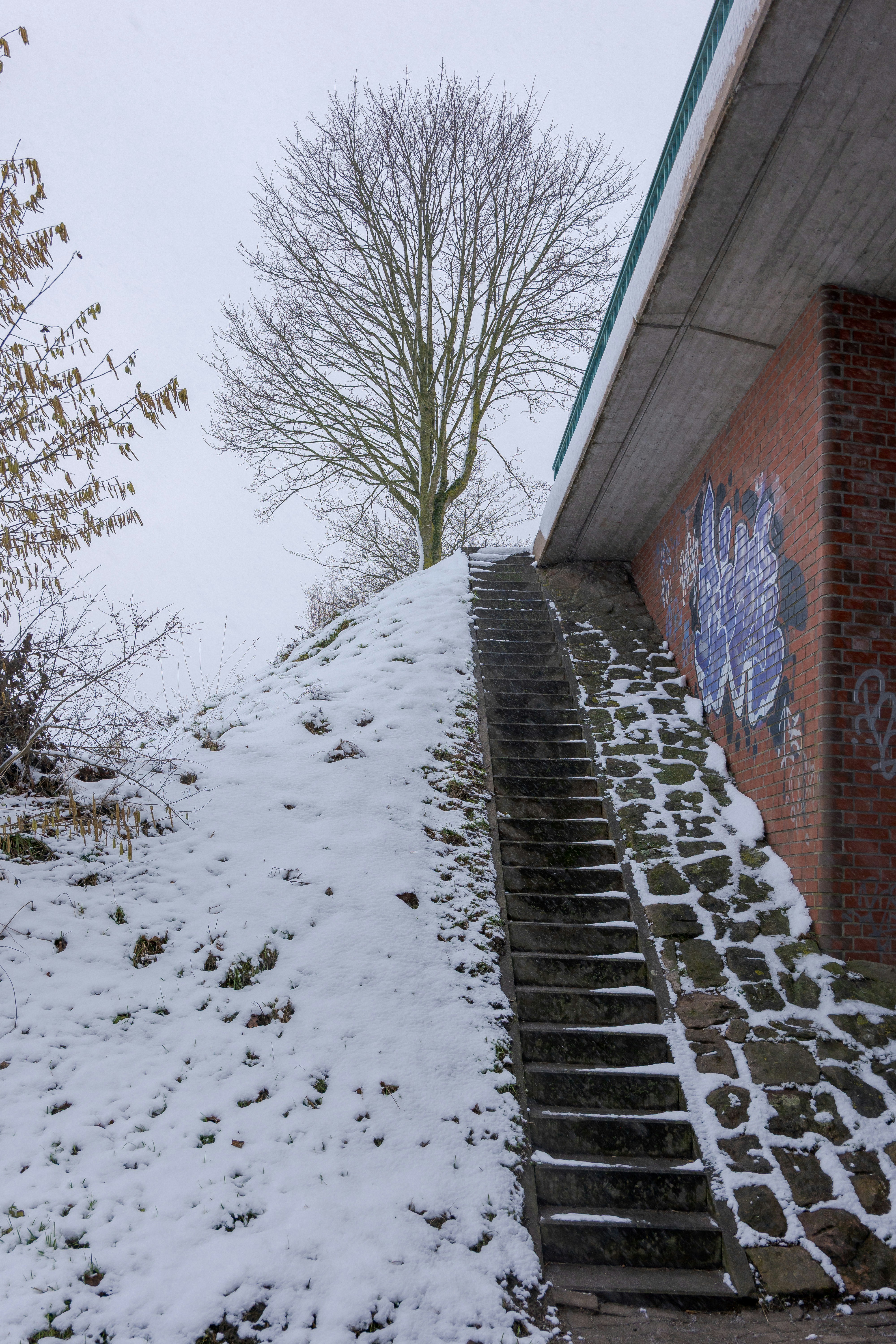 Snow-Capped Stairway to a Lone Tree