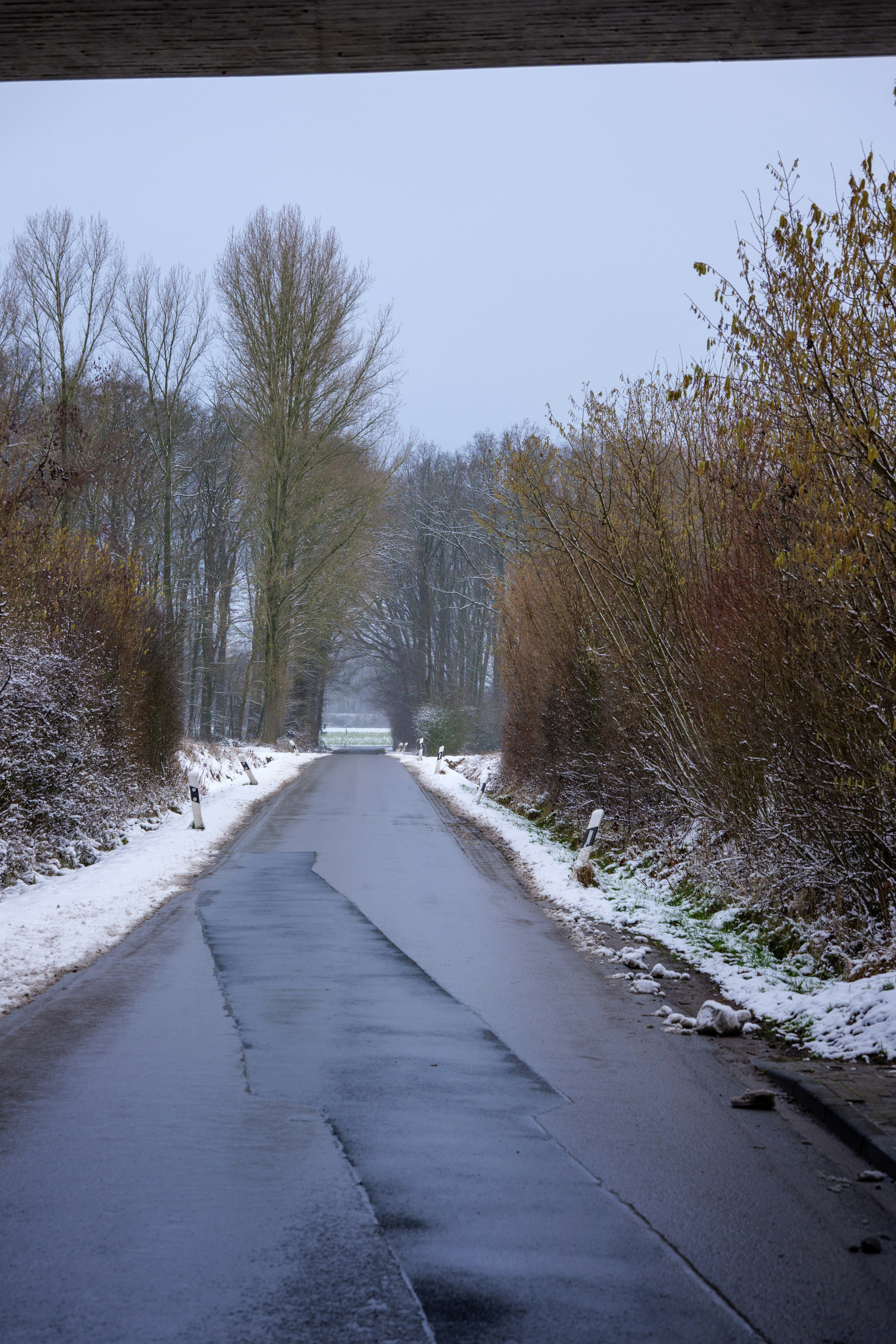 Winter Road Toward the Distant Gate