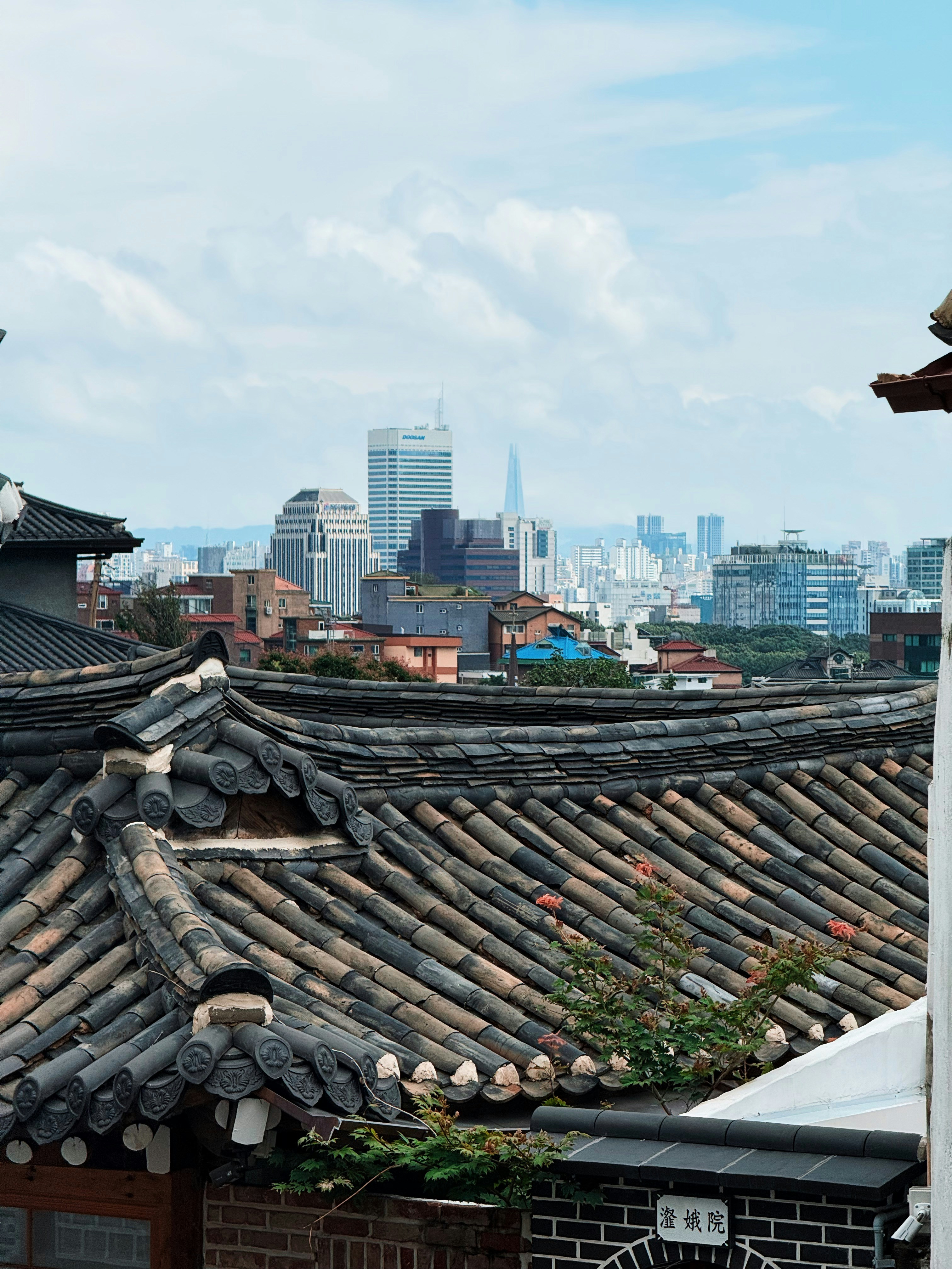 Rooftop Ridge: Cityscape Above Traditional Tiles