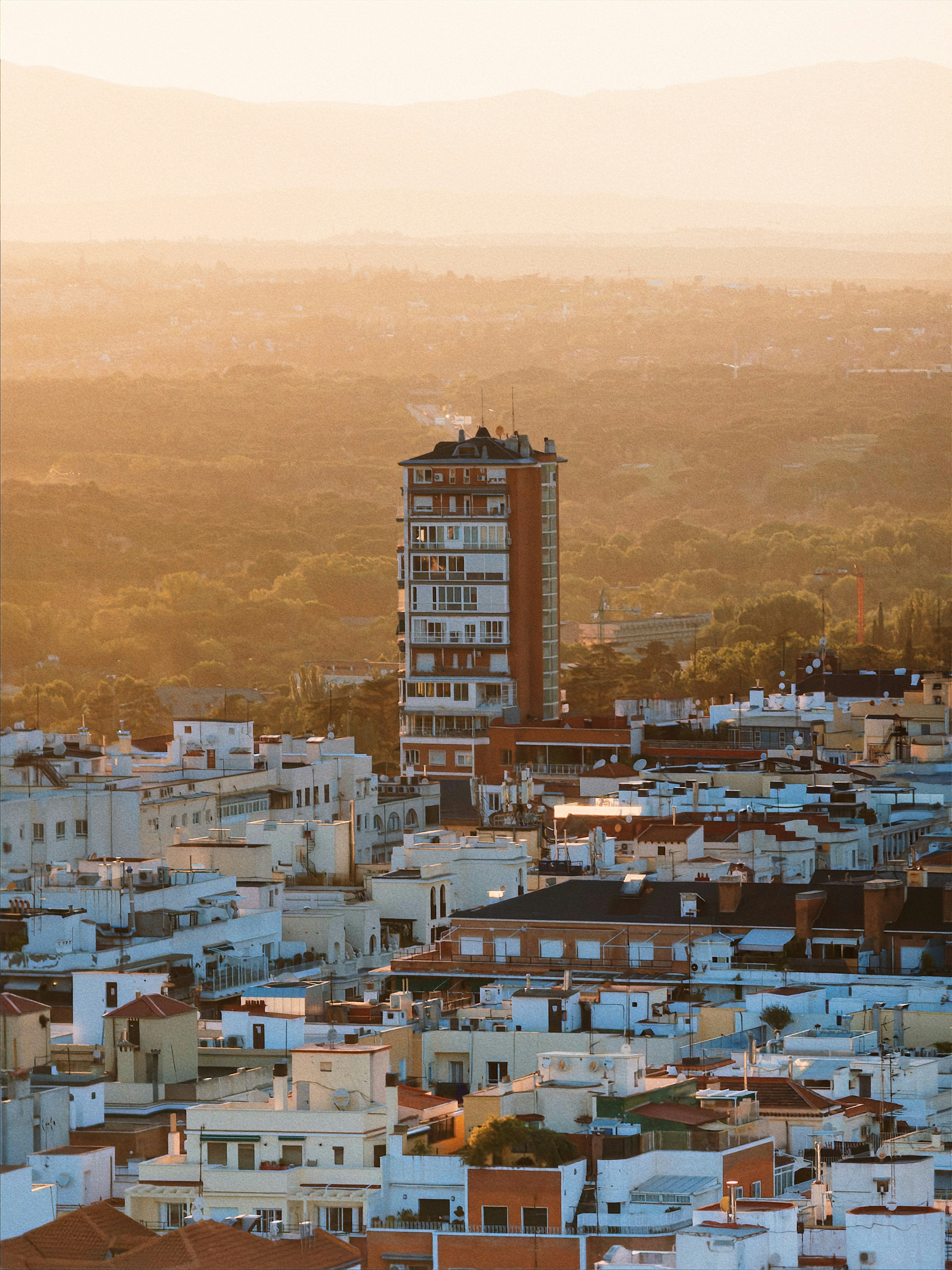 Sunlit Crest: A Rooftop City Evening with a Towering Landmark