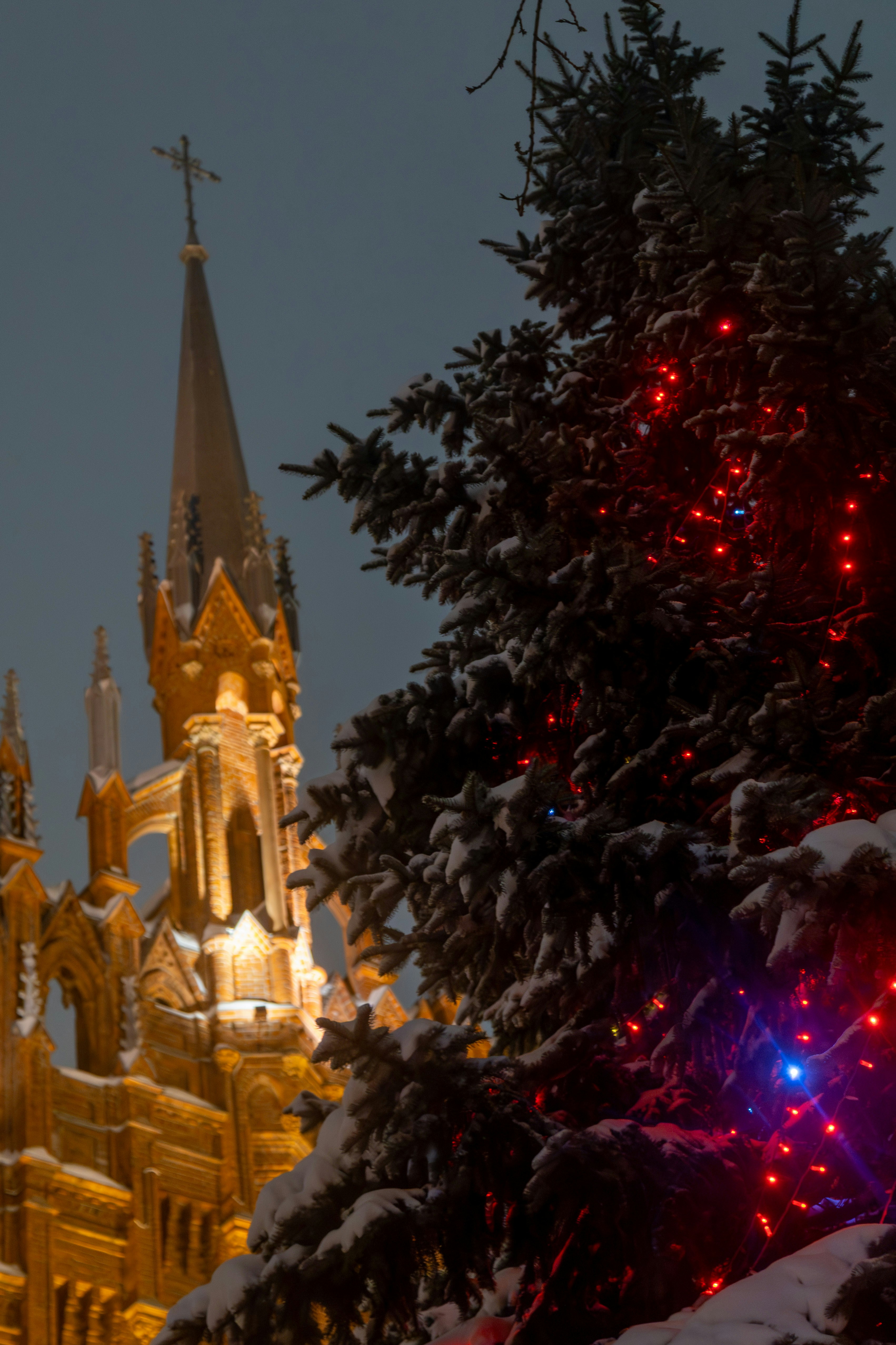 Twilight Spire beside a Snow-Capped Christmas Tree