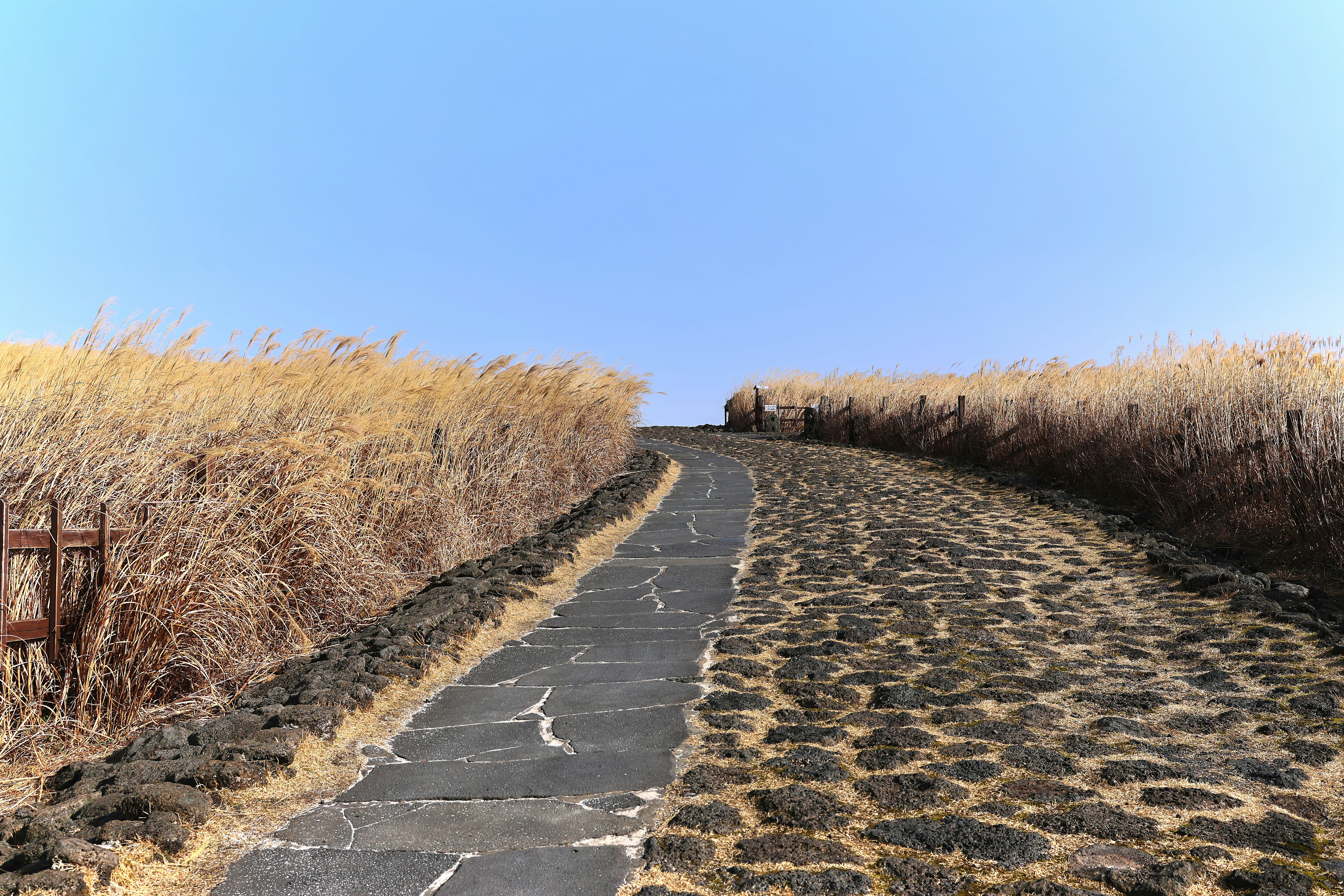 Stone Path to the Horizon: A Quiet Ascent through Dry Grasses