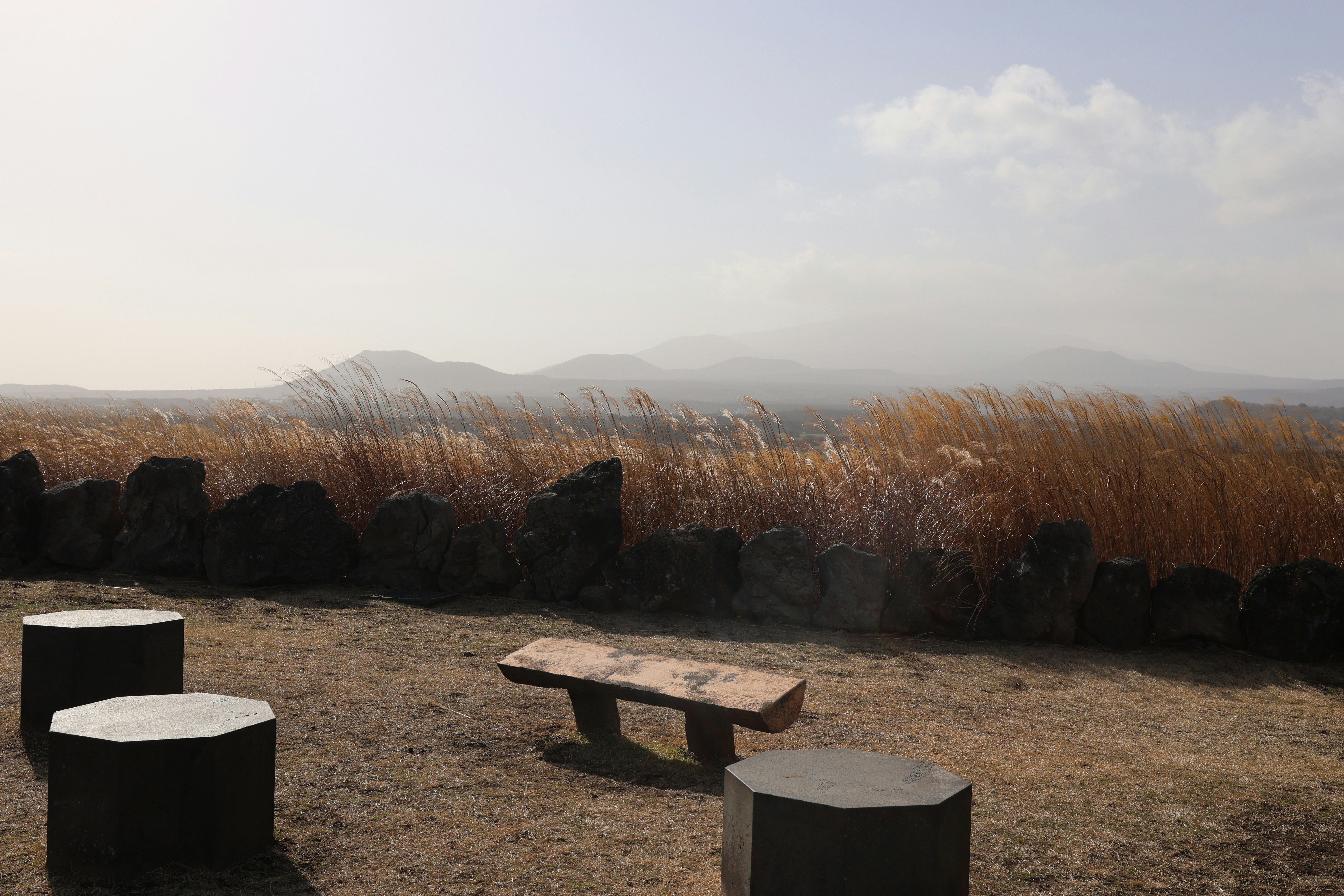 Quiet overlook with weathered timber seating and tall grasses against a distant ridge