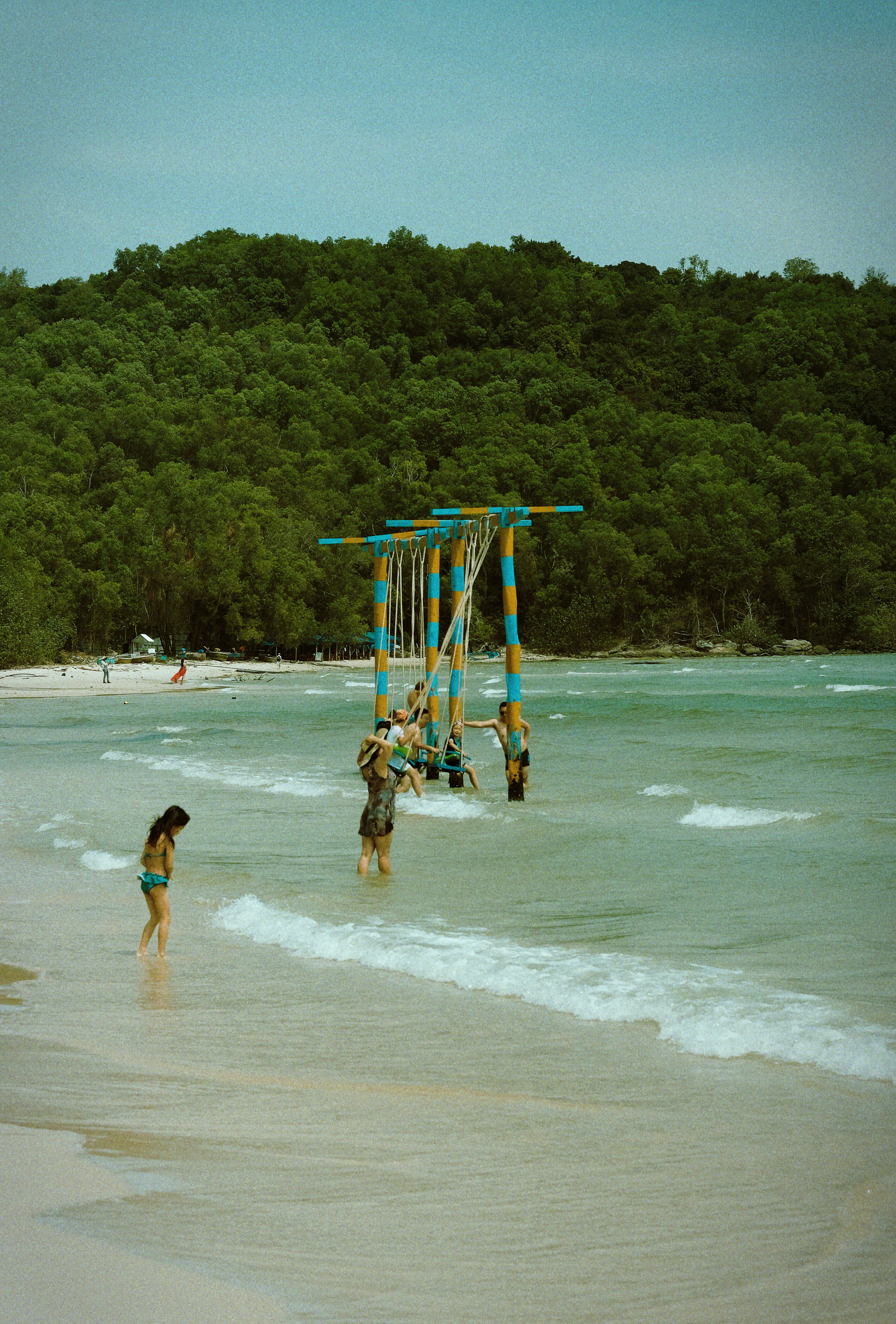 Colorful Jungle-Frame Shadows at a Sunlit Beach