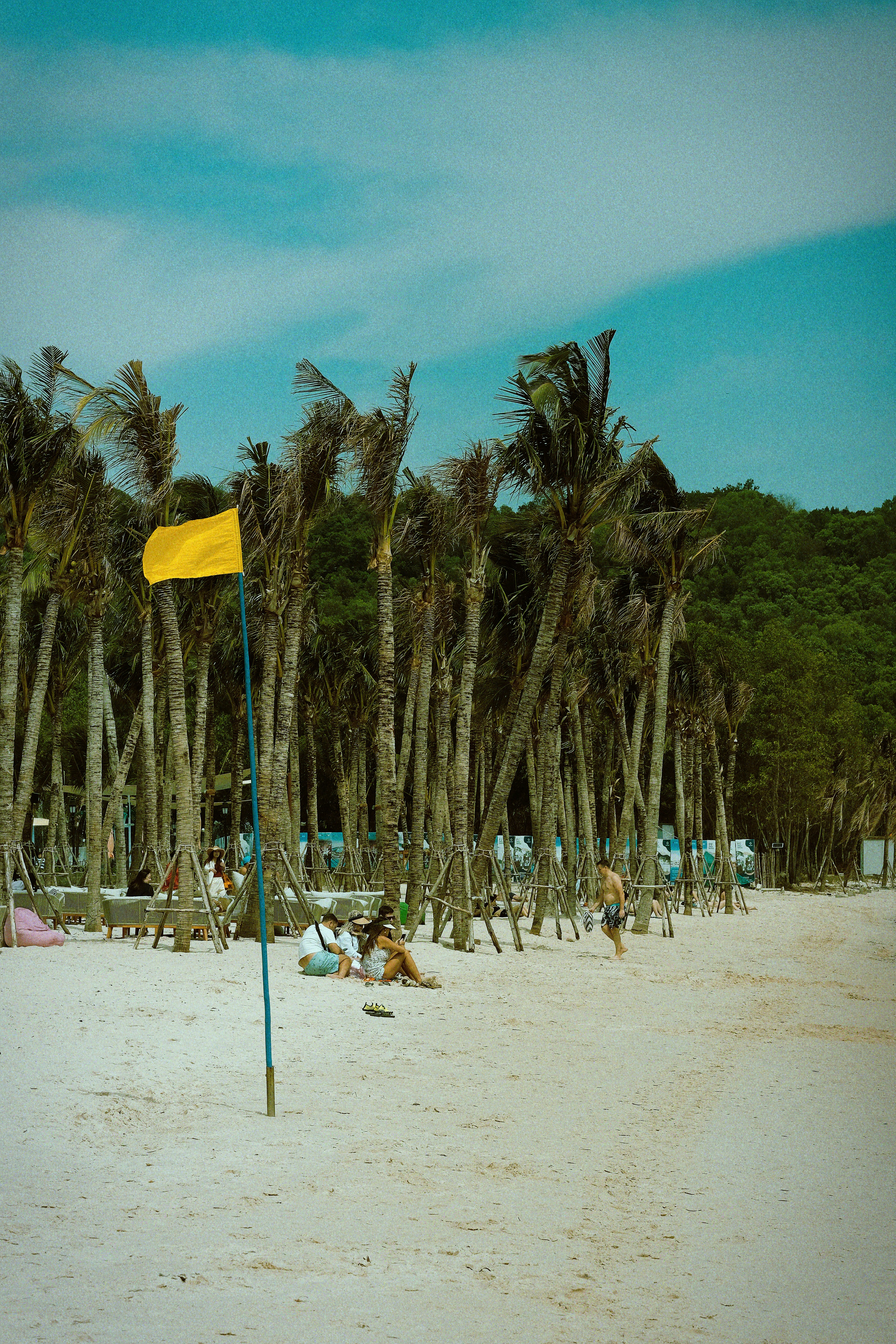 Palm-lined beach silhouettes under a sunlit sky