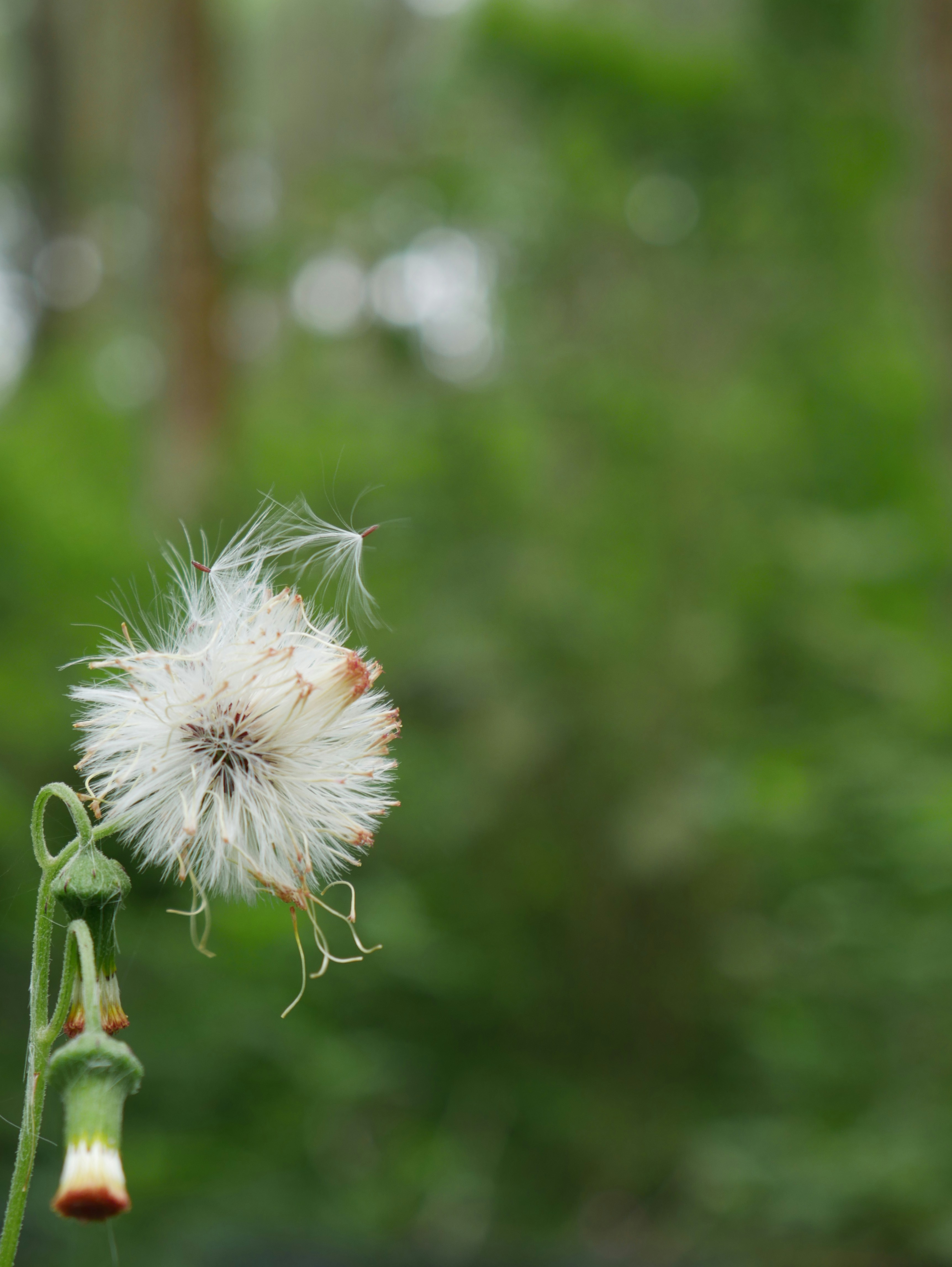 Brandon Prajogo (@brandonprajogo) | Komunitas Foto Unsplash