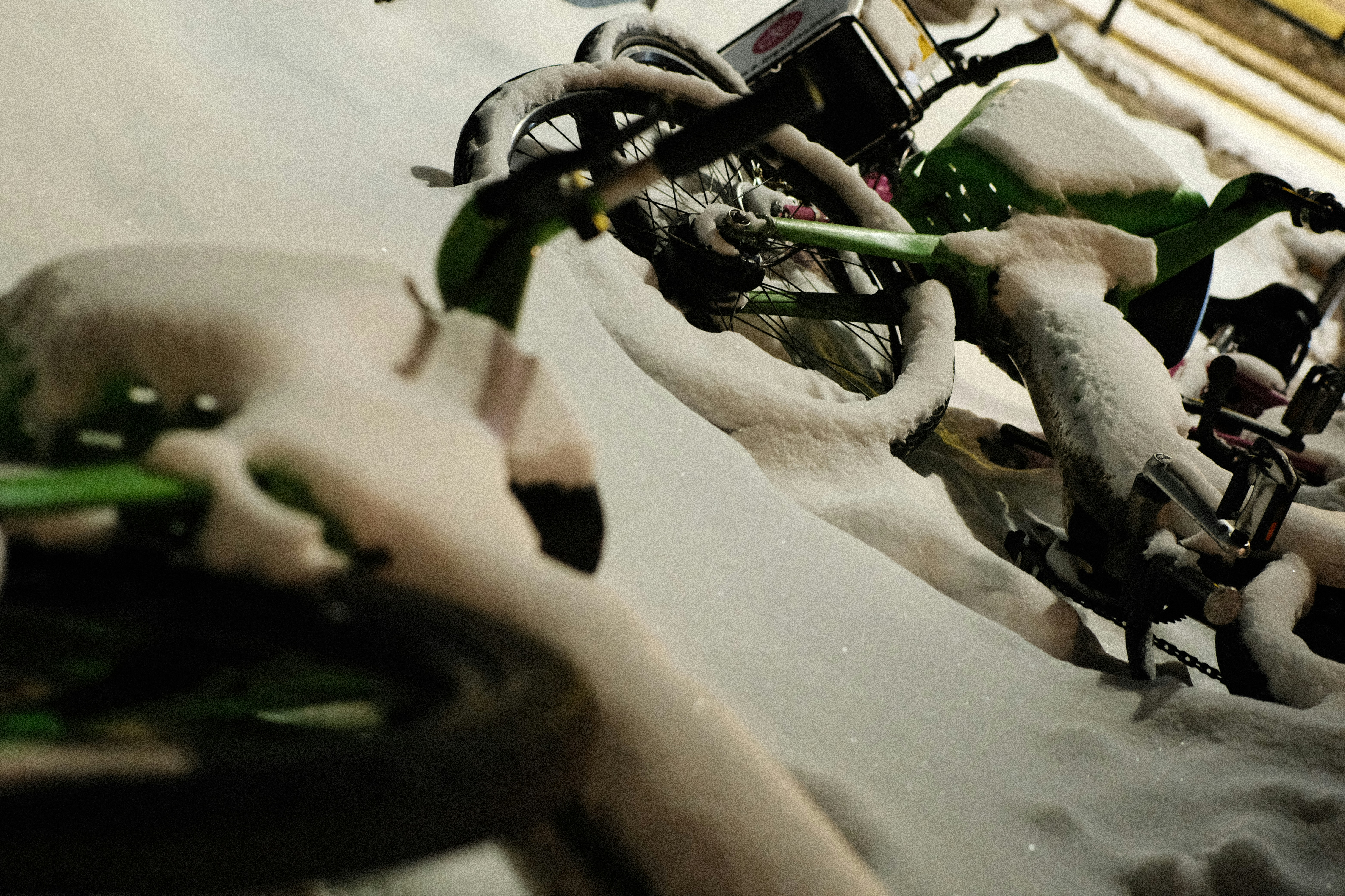 Snowbound Bicycles: Chains and Rims in Quiet Drift
