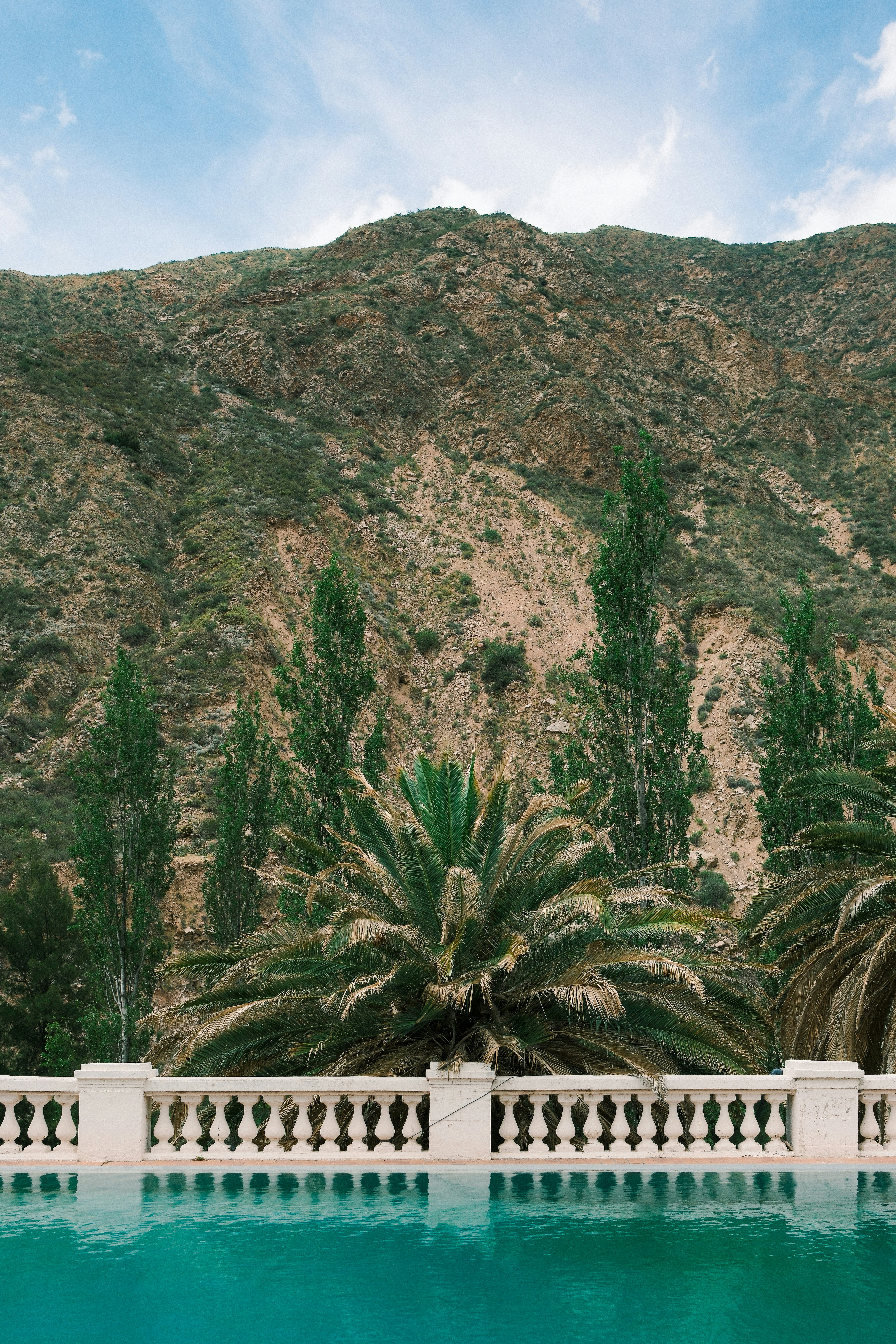 Azure Terrace: Poolside Palm Oasis Against Mountain Backdrop