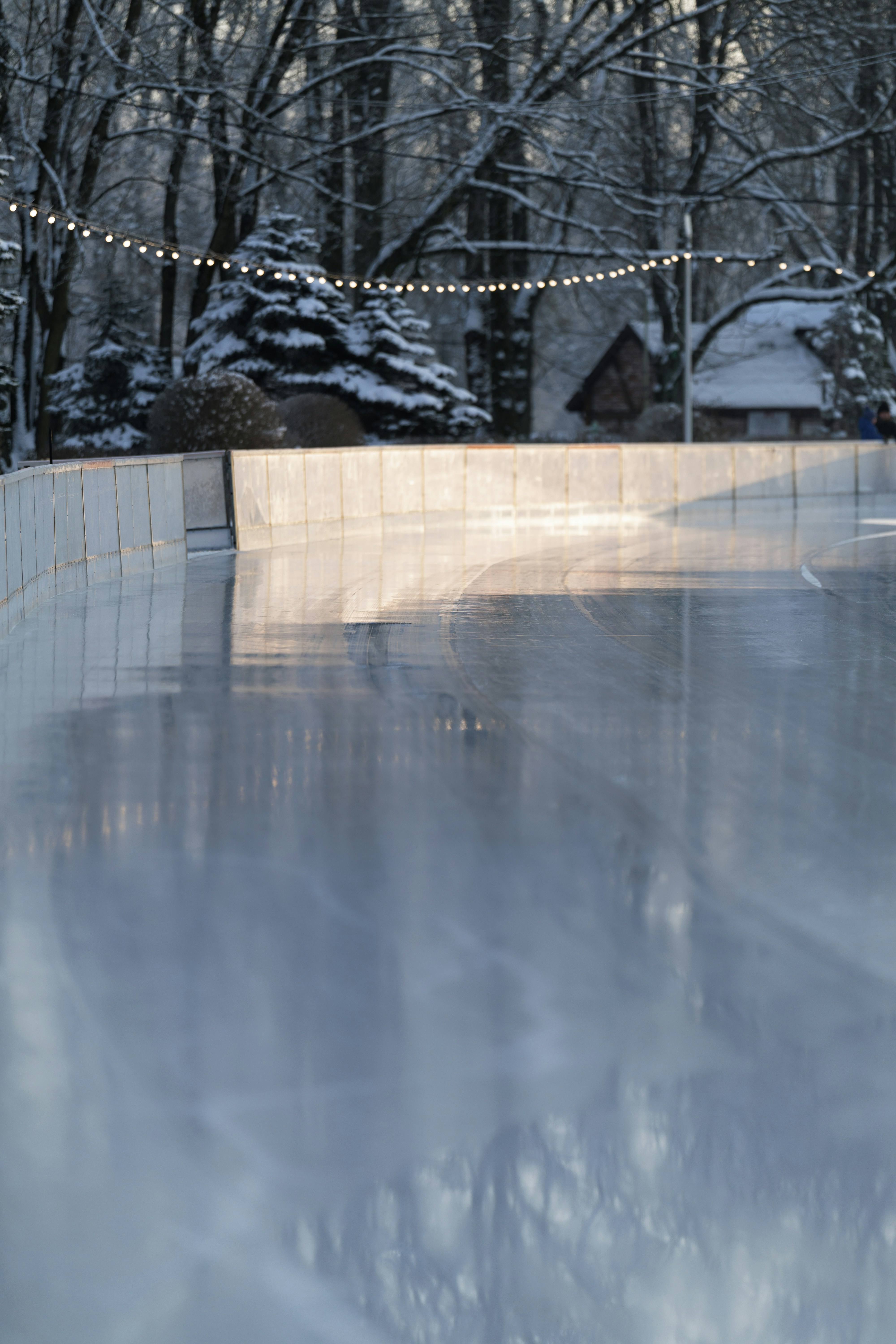 Winter ice rink with trees and string lights photo – Free Cold weather ...