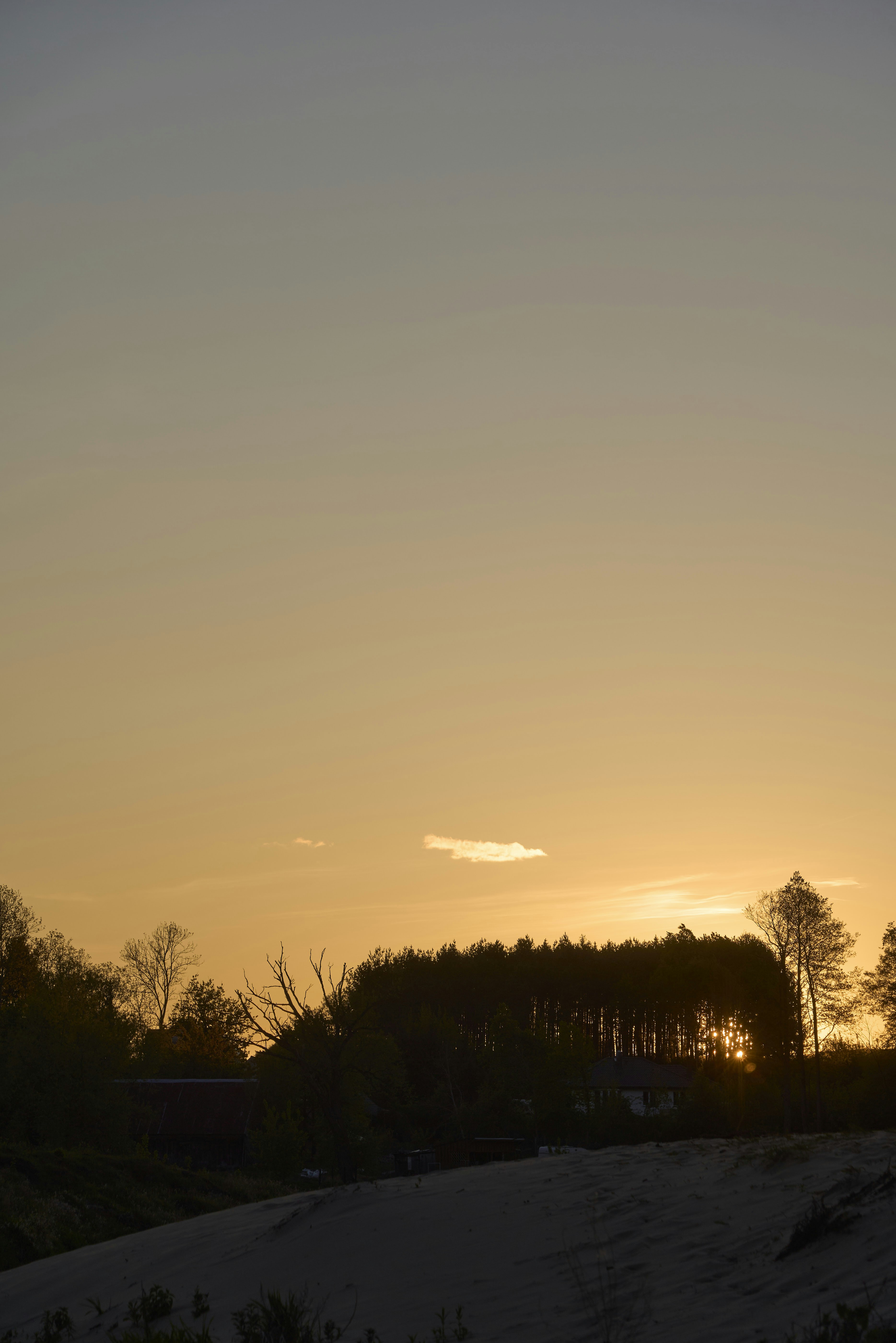 Dusk Silhouette: Horizon line of trees and glowing sunset
