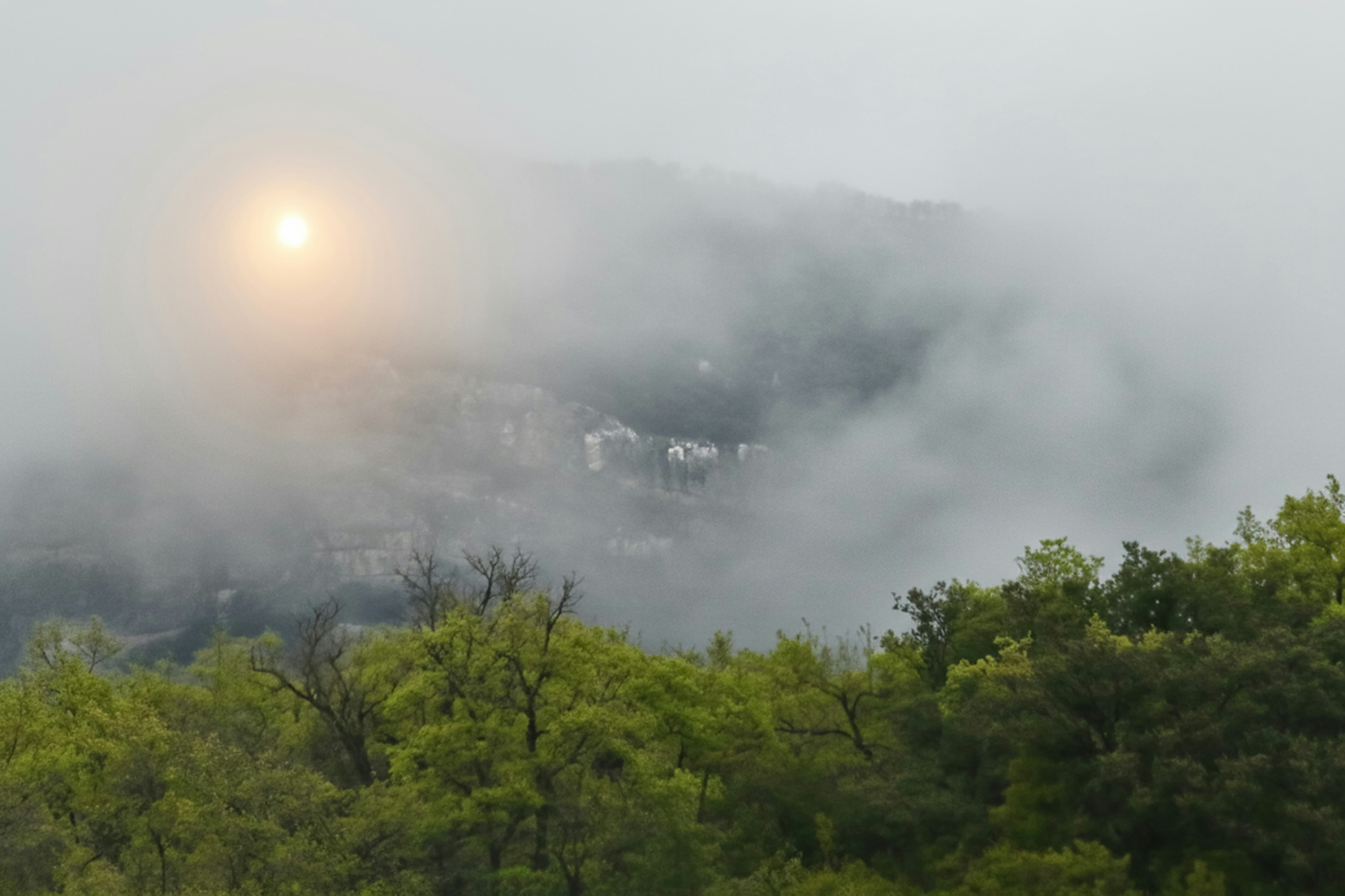 Mist Veil over the Green Canyon at Dawn