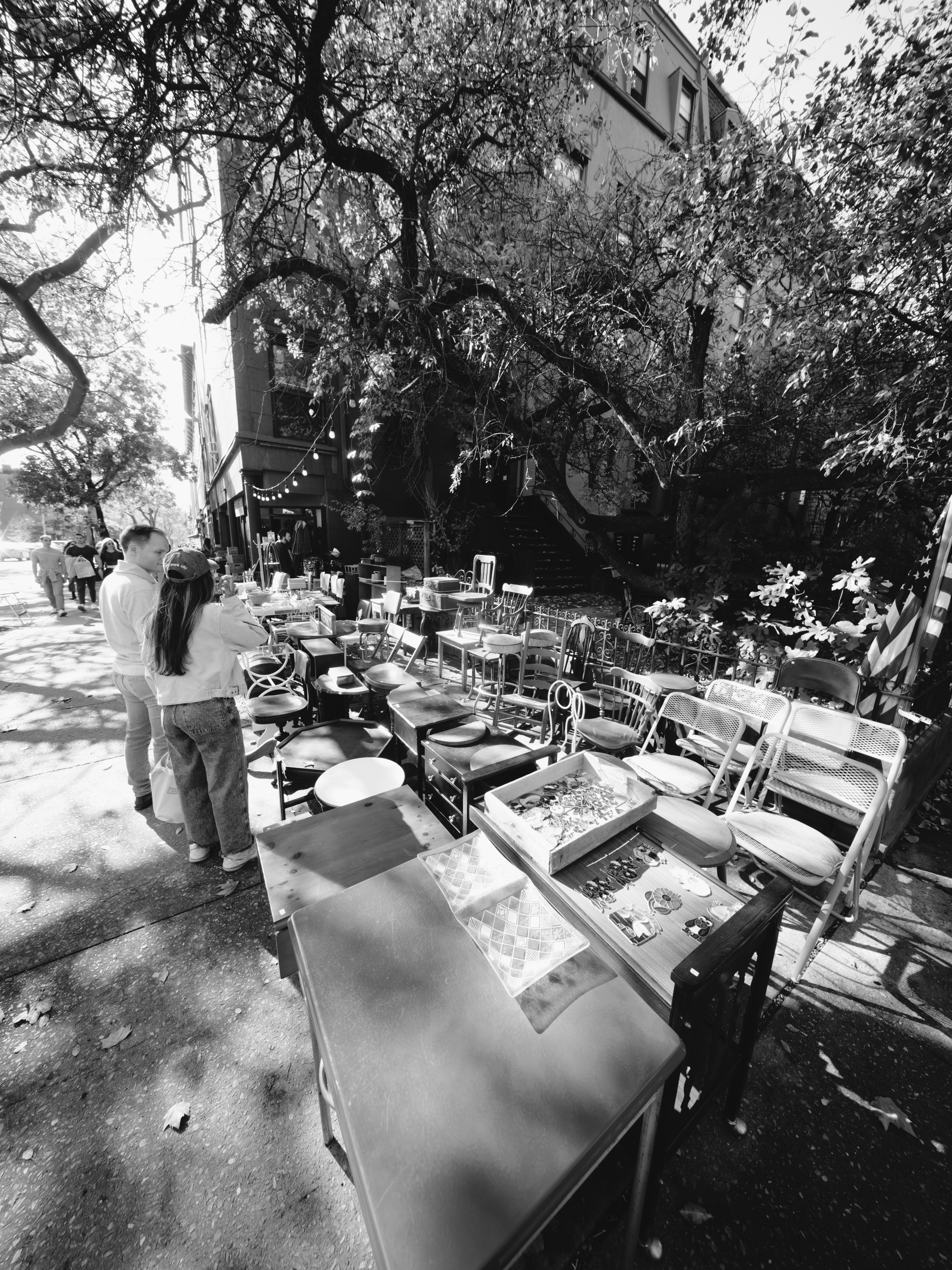 Street-side Feast: A Quiet Moment Among Chairs and Trees