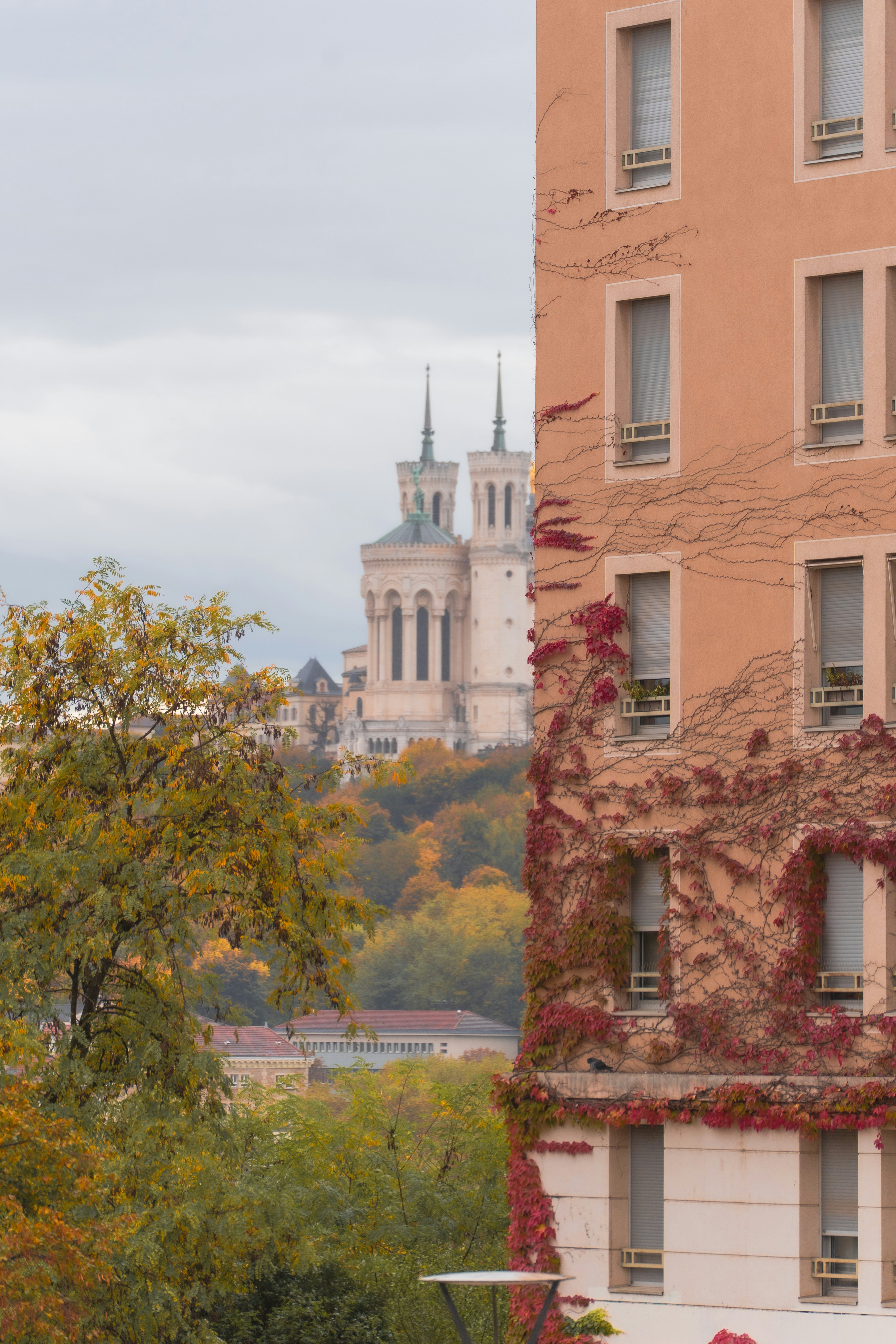 Autumn City Silhouette: Notre-Dame Looming Beyond a Red-Vined Riverside Building