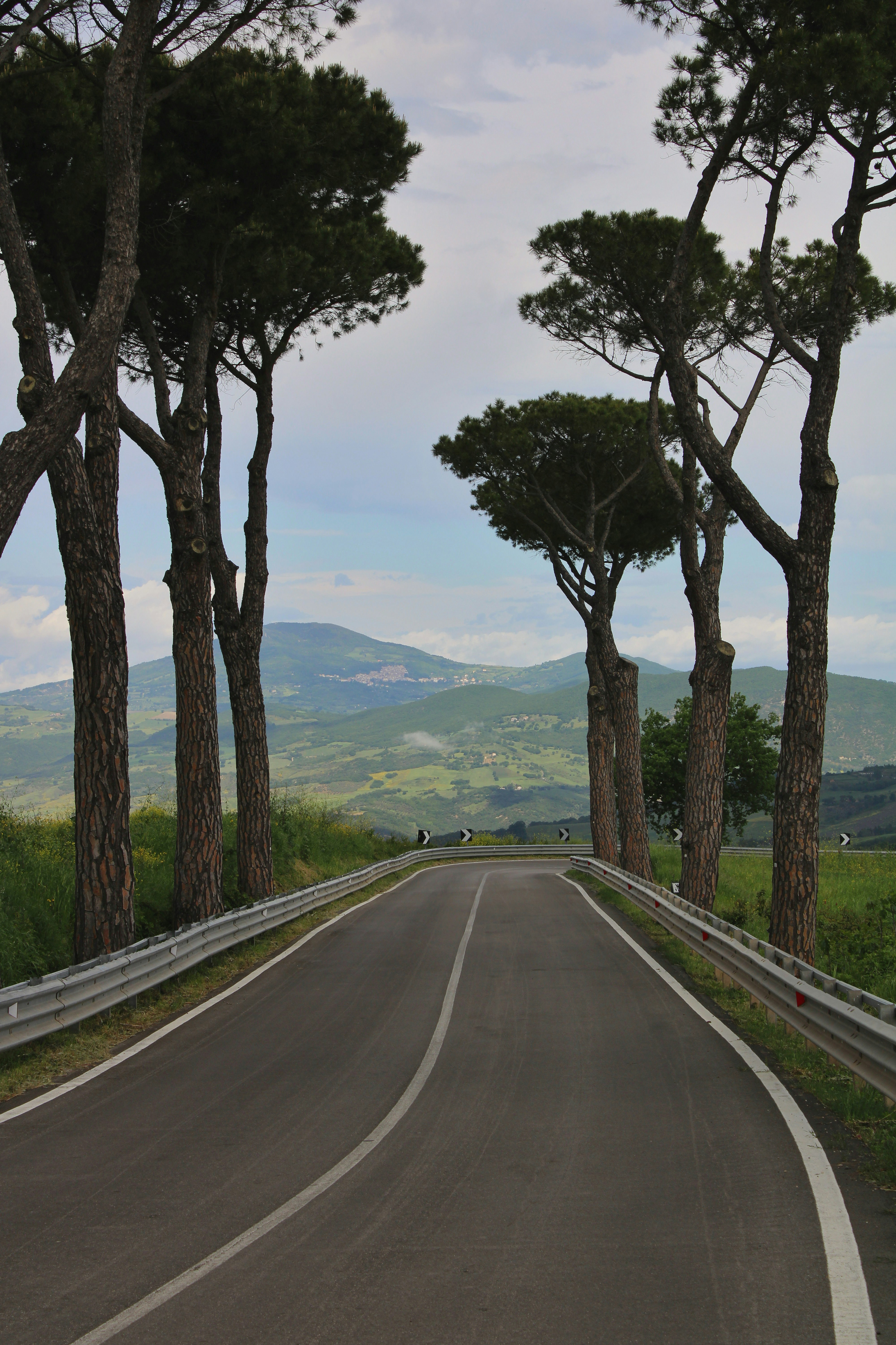 Twisting country road runs between tall pines, guiding the eye toward rolling hills and a distant valley under a soft, overcast sky.