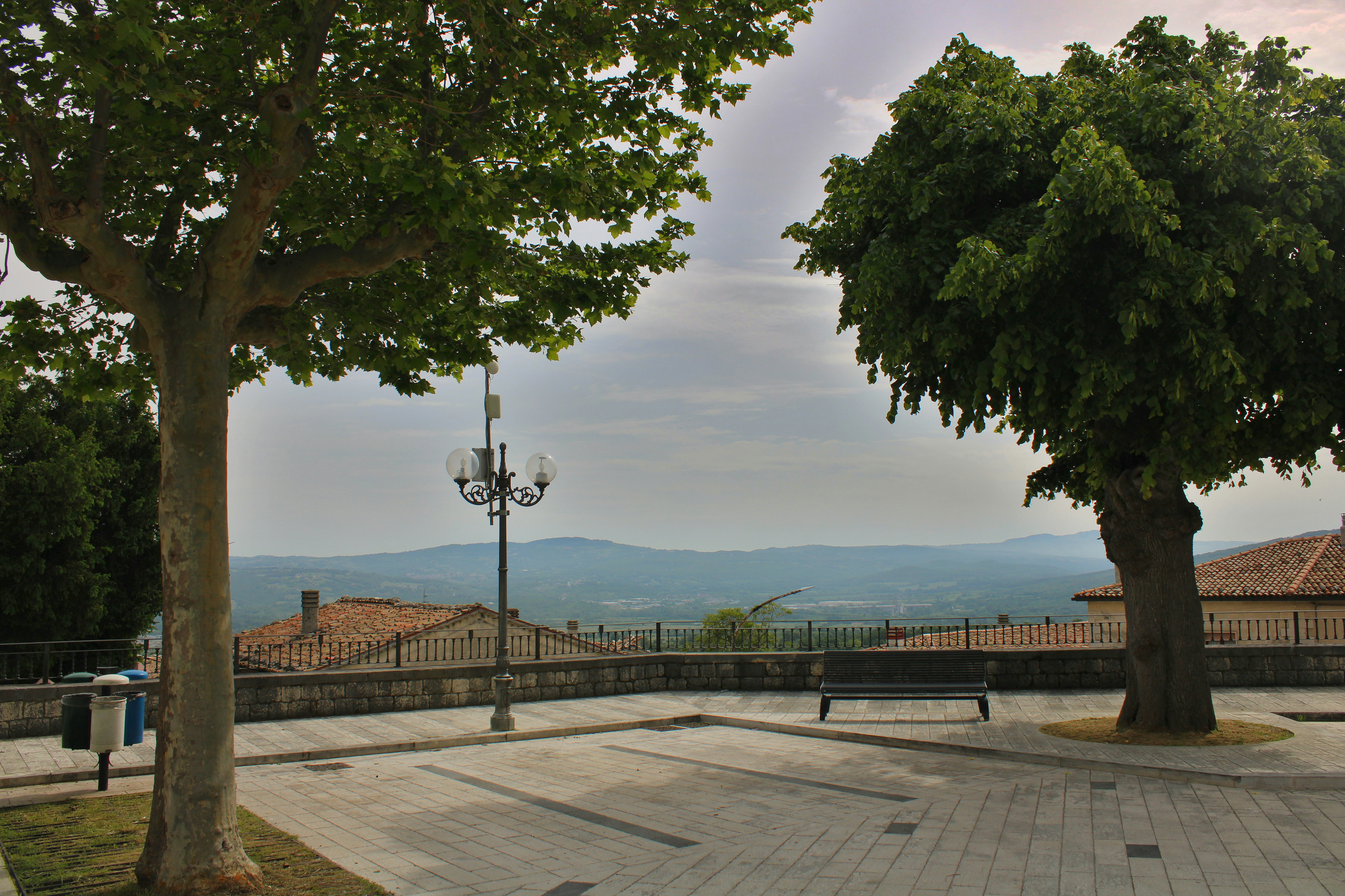 Terrace Vista: A Quiet Overlook Beneath Gnarled Trees