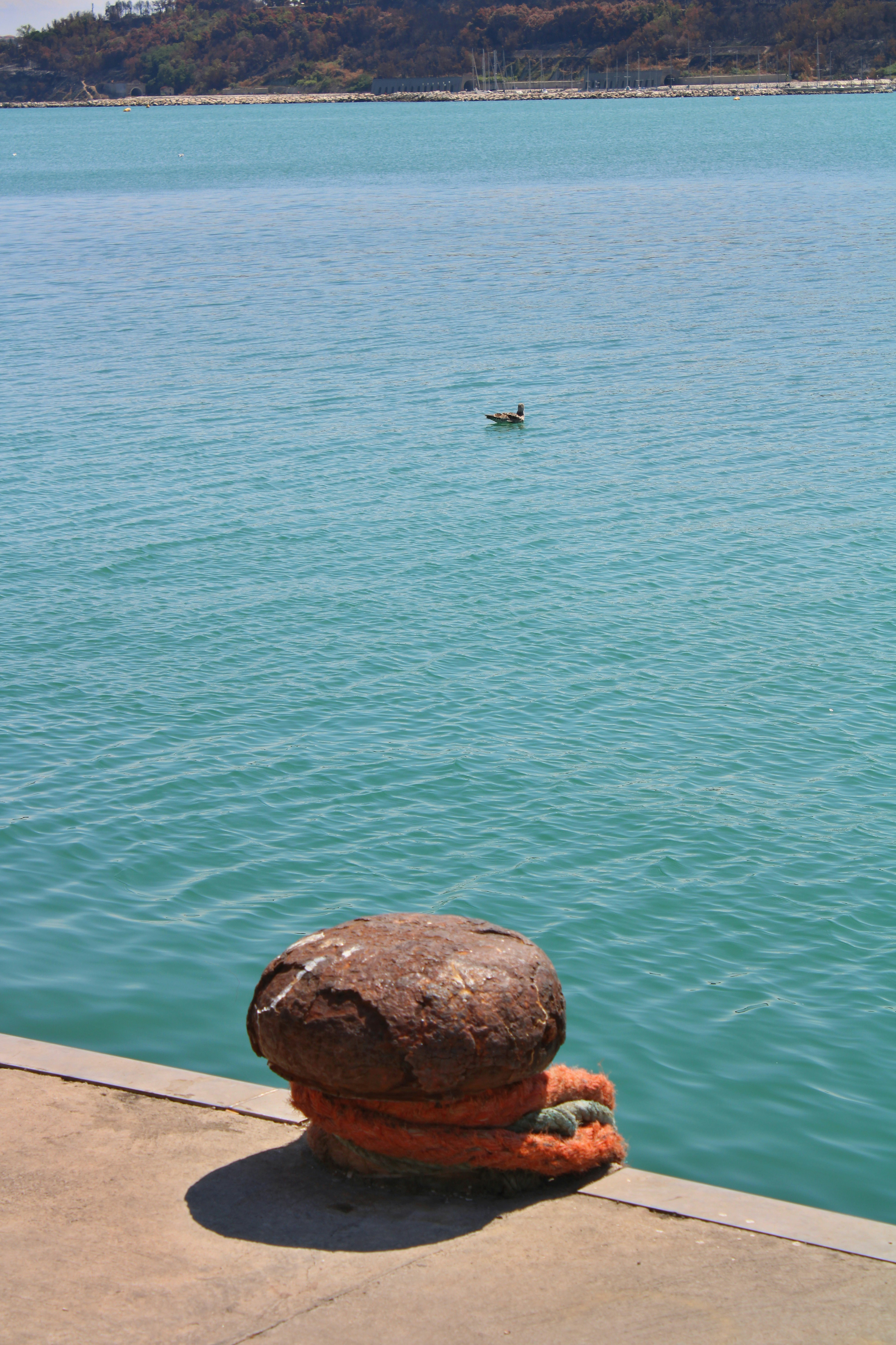 Harbor Buoy and Teal Waters