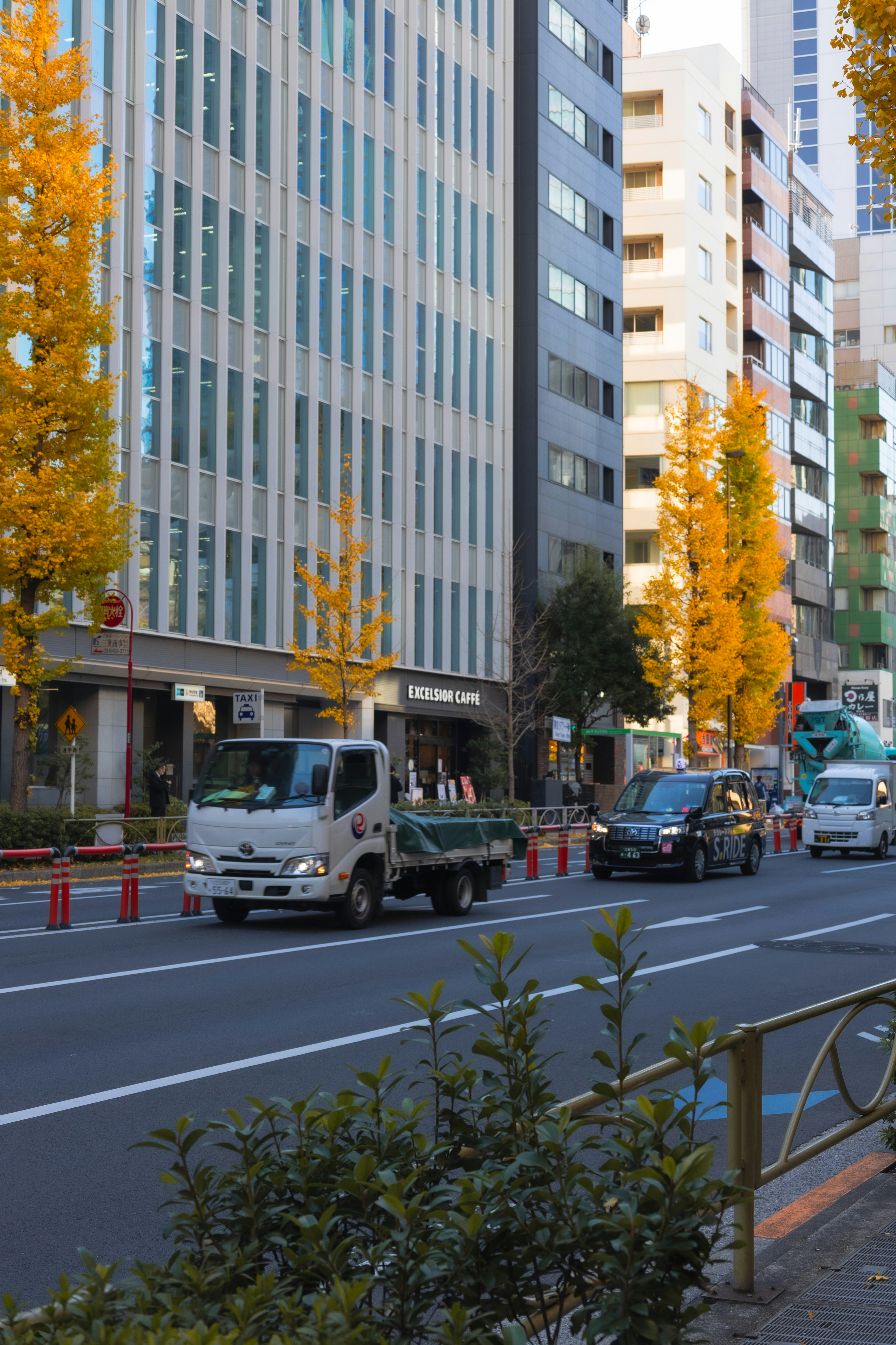 Autumn Pace on a Bright City Street