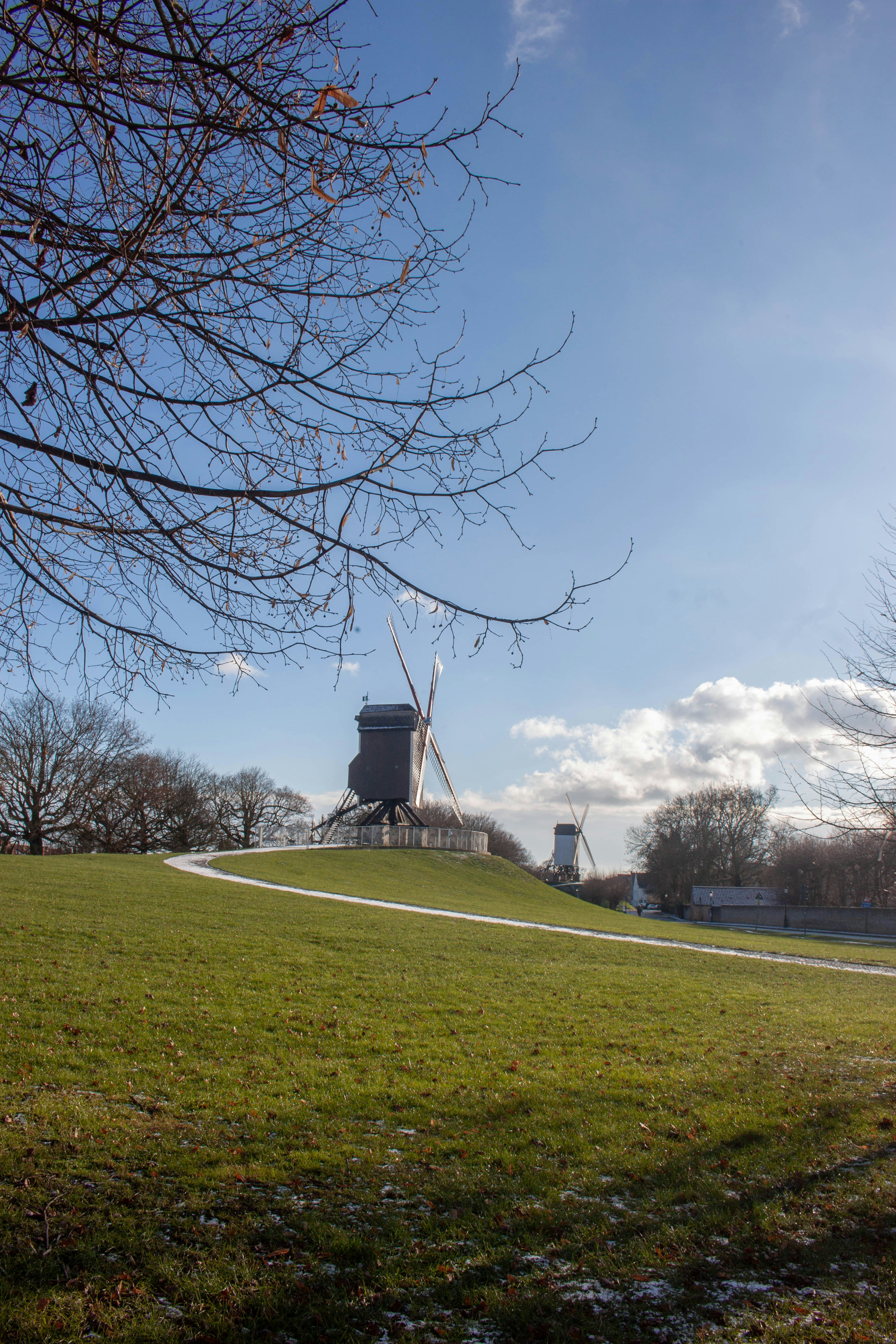 Windmills on a Gentle Rise Under a Clear Sky