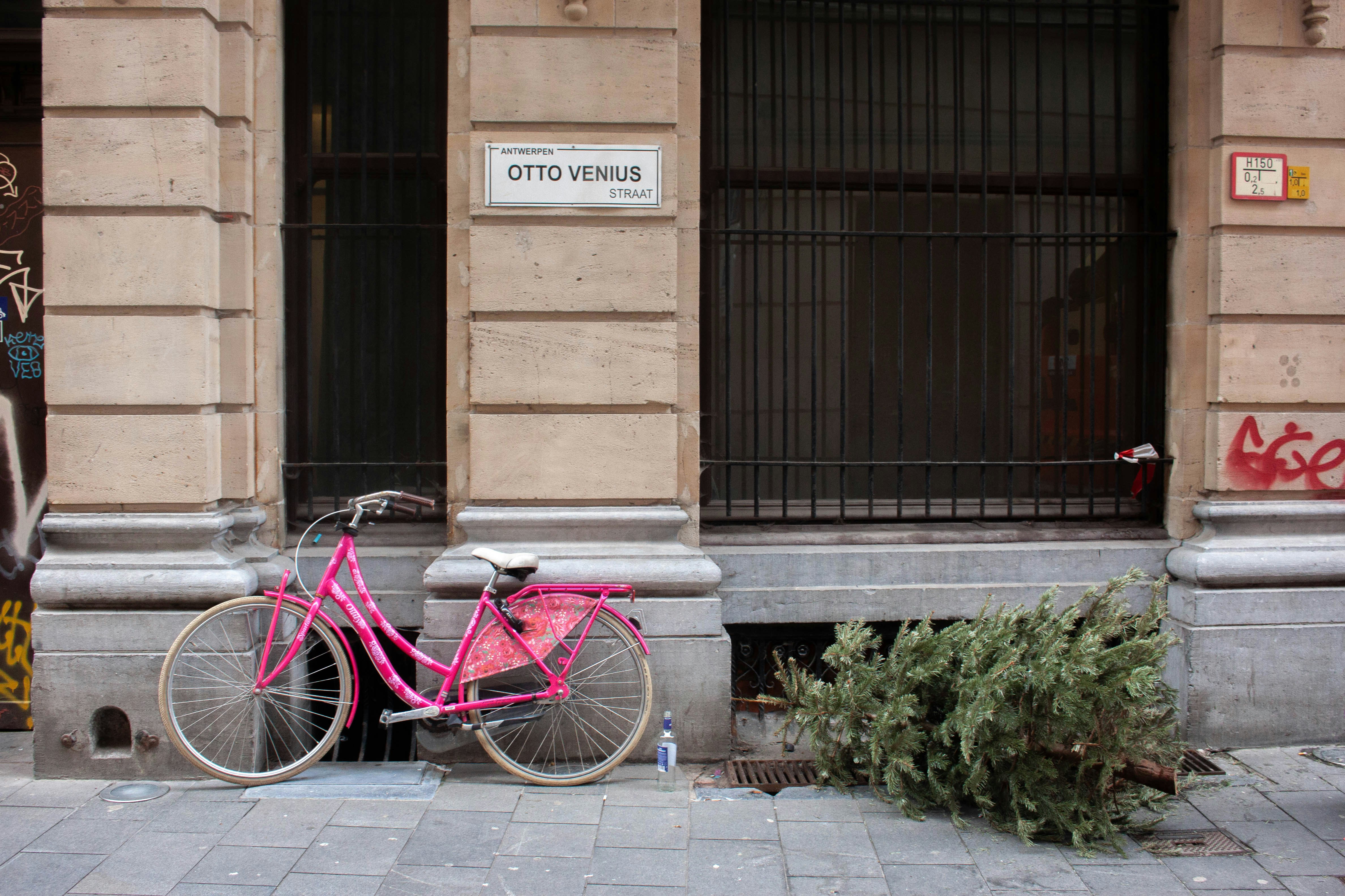 Pink Bicycle at a Quiet Street Façade